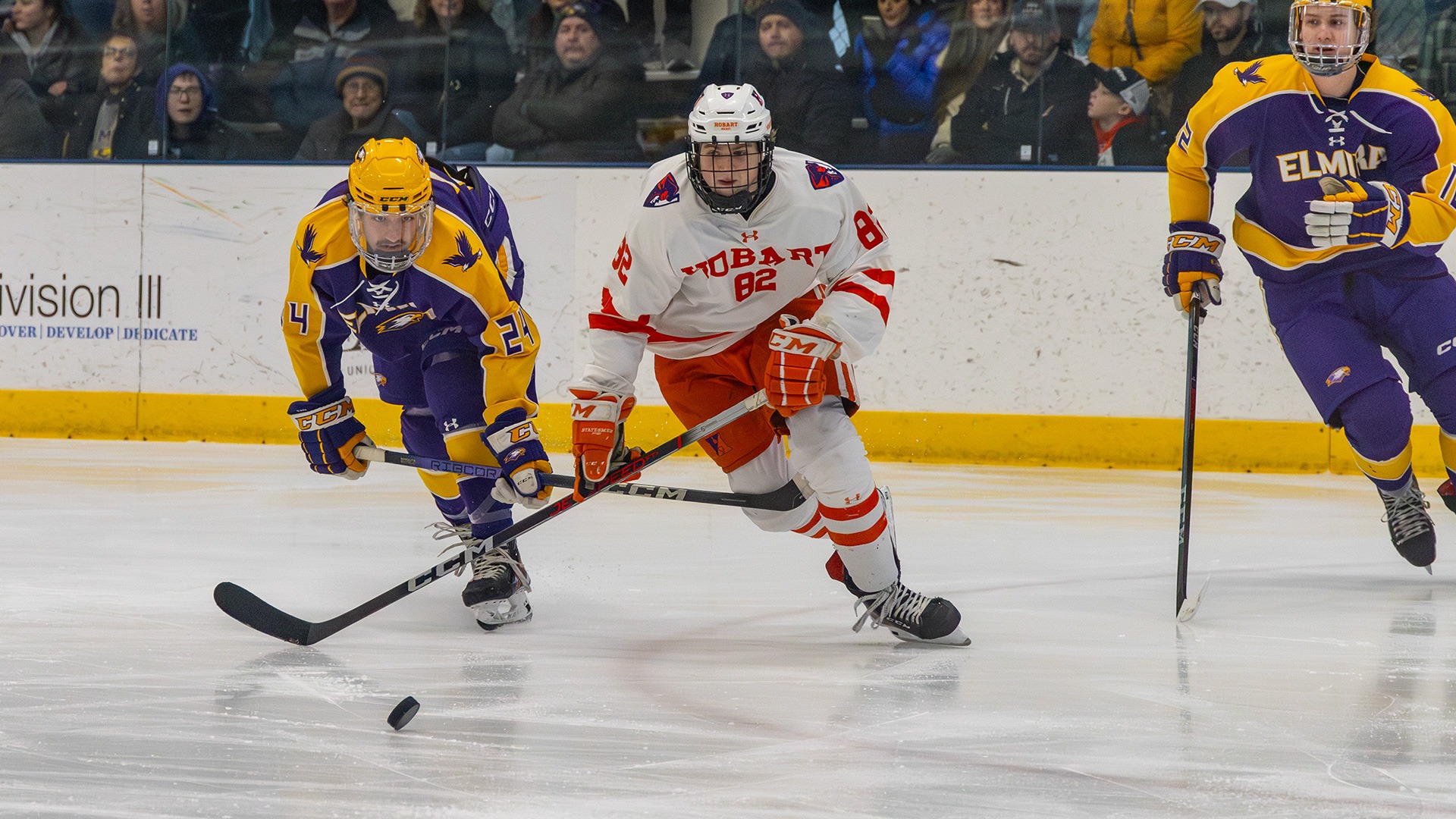 Tanner Hartman - 2023-24 - Hobart Ice Hockey - Hobart and William Smith ...