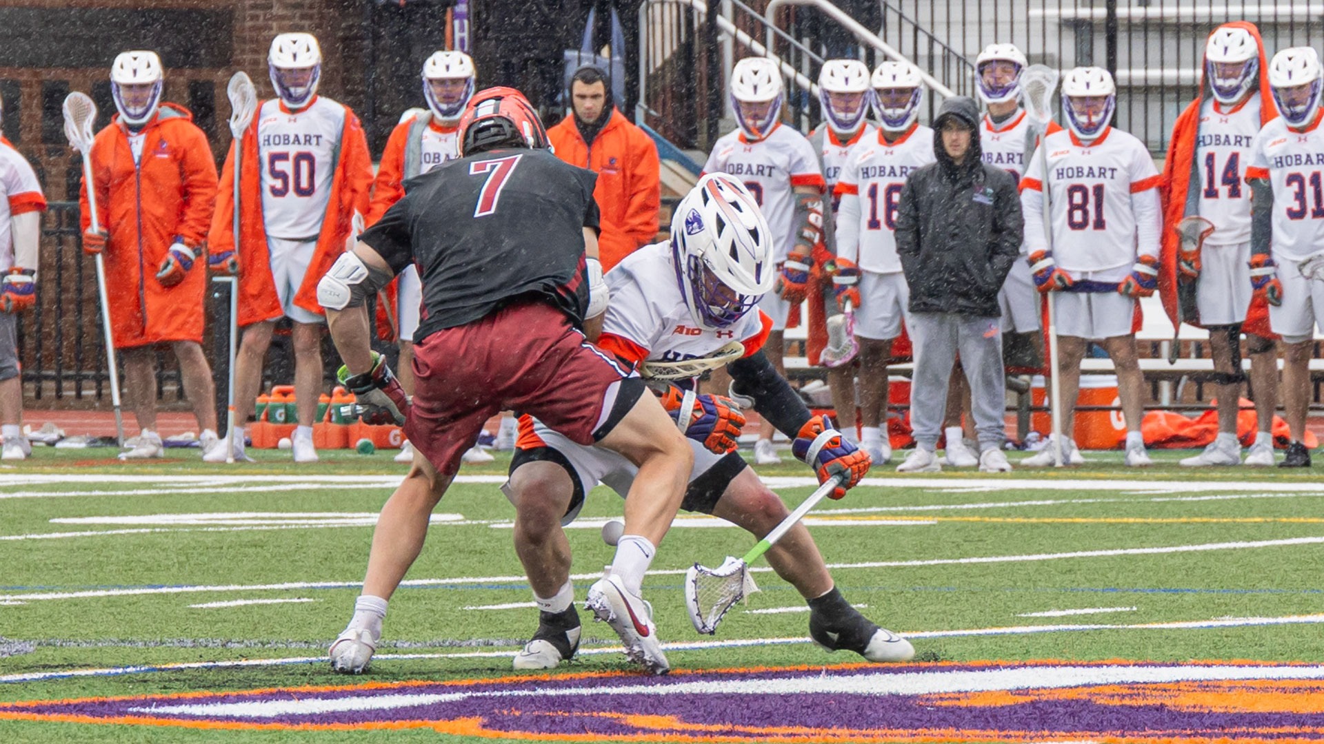 Adam Shea - 2024 - Hobart Lacrosse - Hobart and William Smith Colleges ...