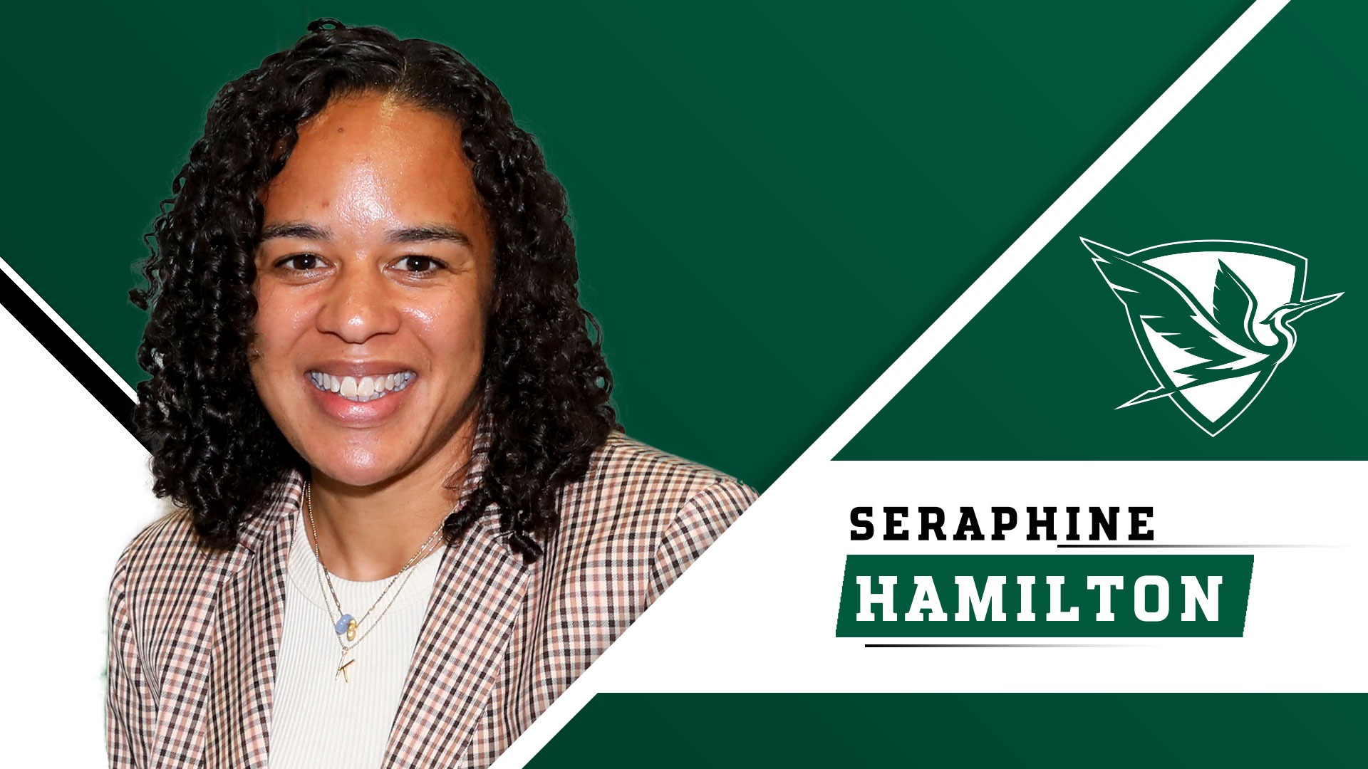 Hamilton adds Ingalls to coaching staff - Hobart and William Smith ...