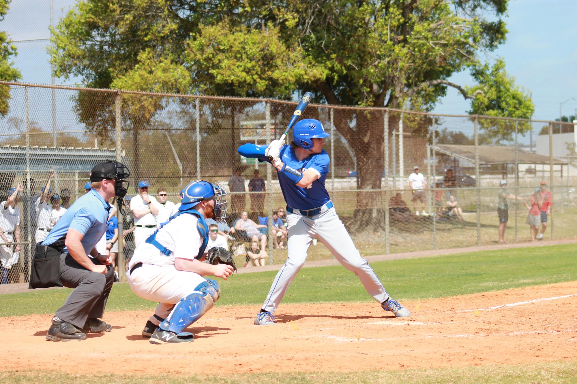 Blueboys Fall in Competitive Contest Against Anna Maria - Illinois ...