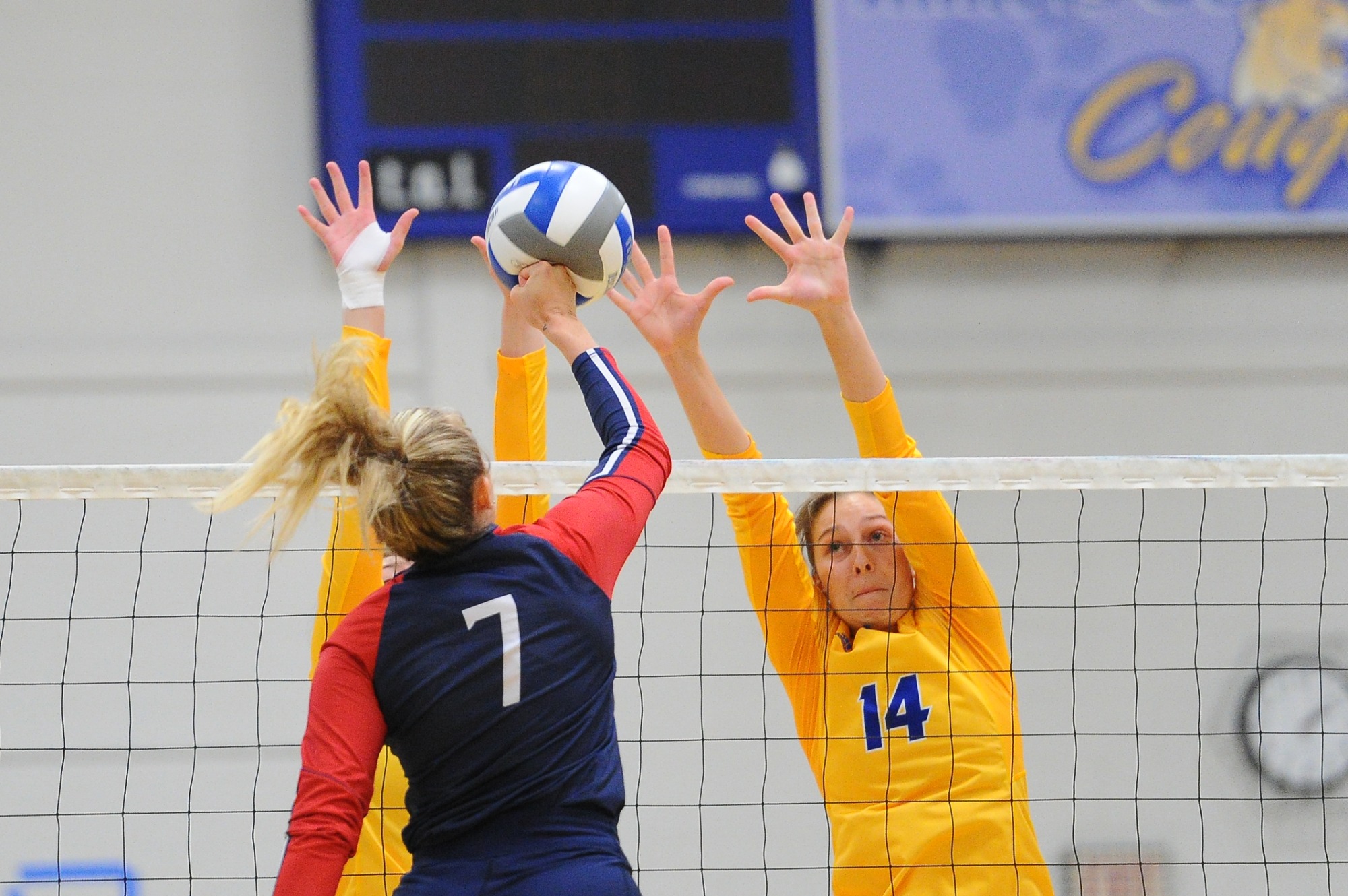 Hannah Tellor - 2023 - Women's Volleyball - Illinois Central College