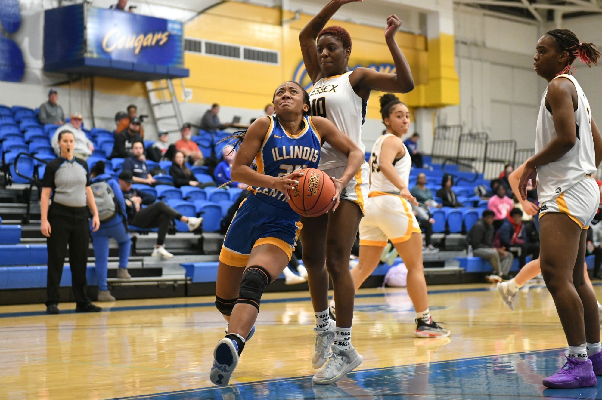 Naomi Elliott - 2023-24 - Women's Basketball - Illinois Central College