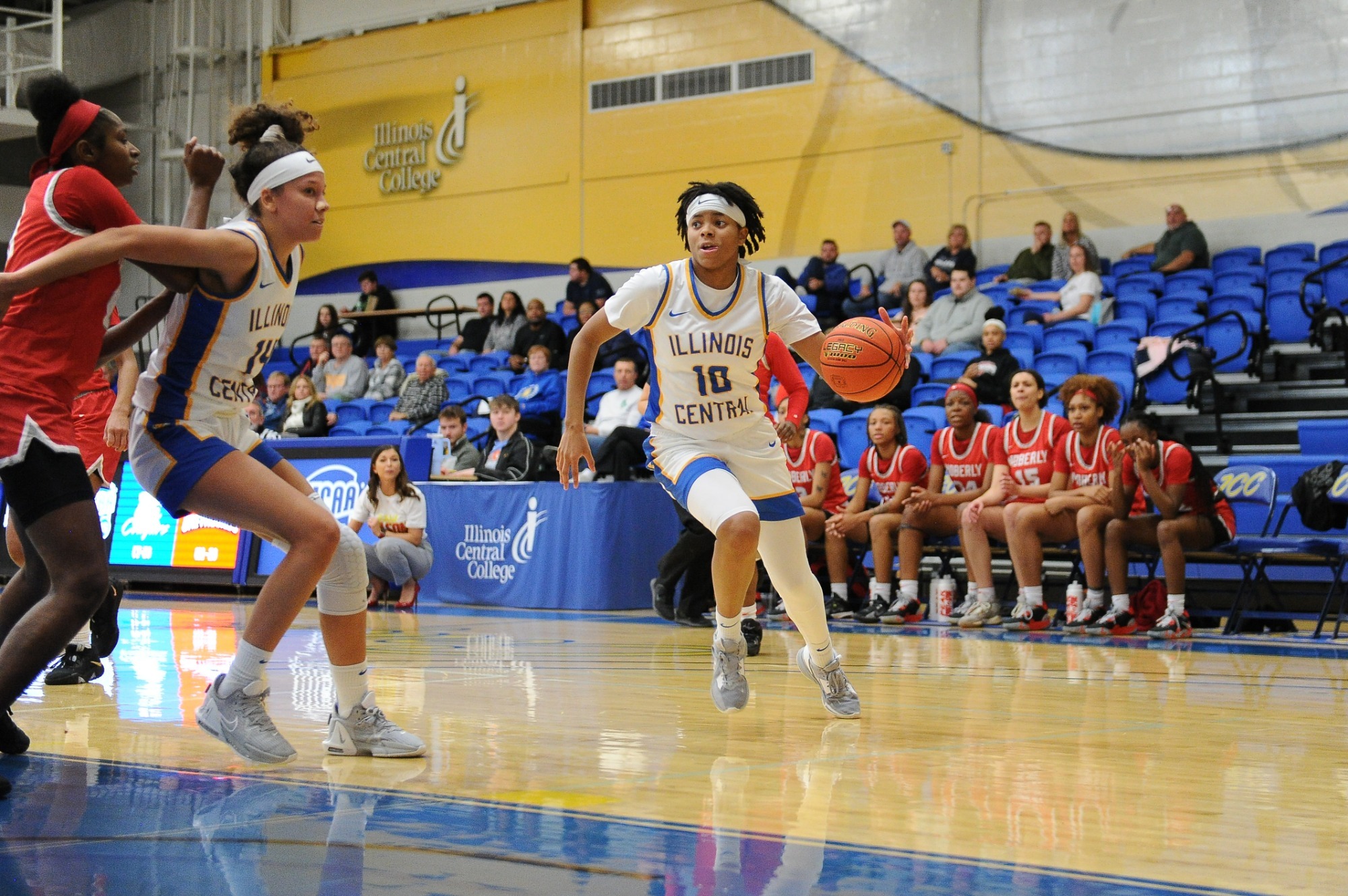 Paris Wilson - 2023-24 - Women's Basketball - Illinois Central College