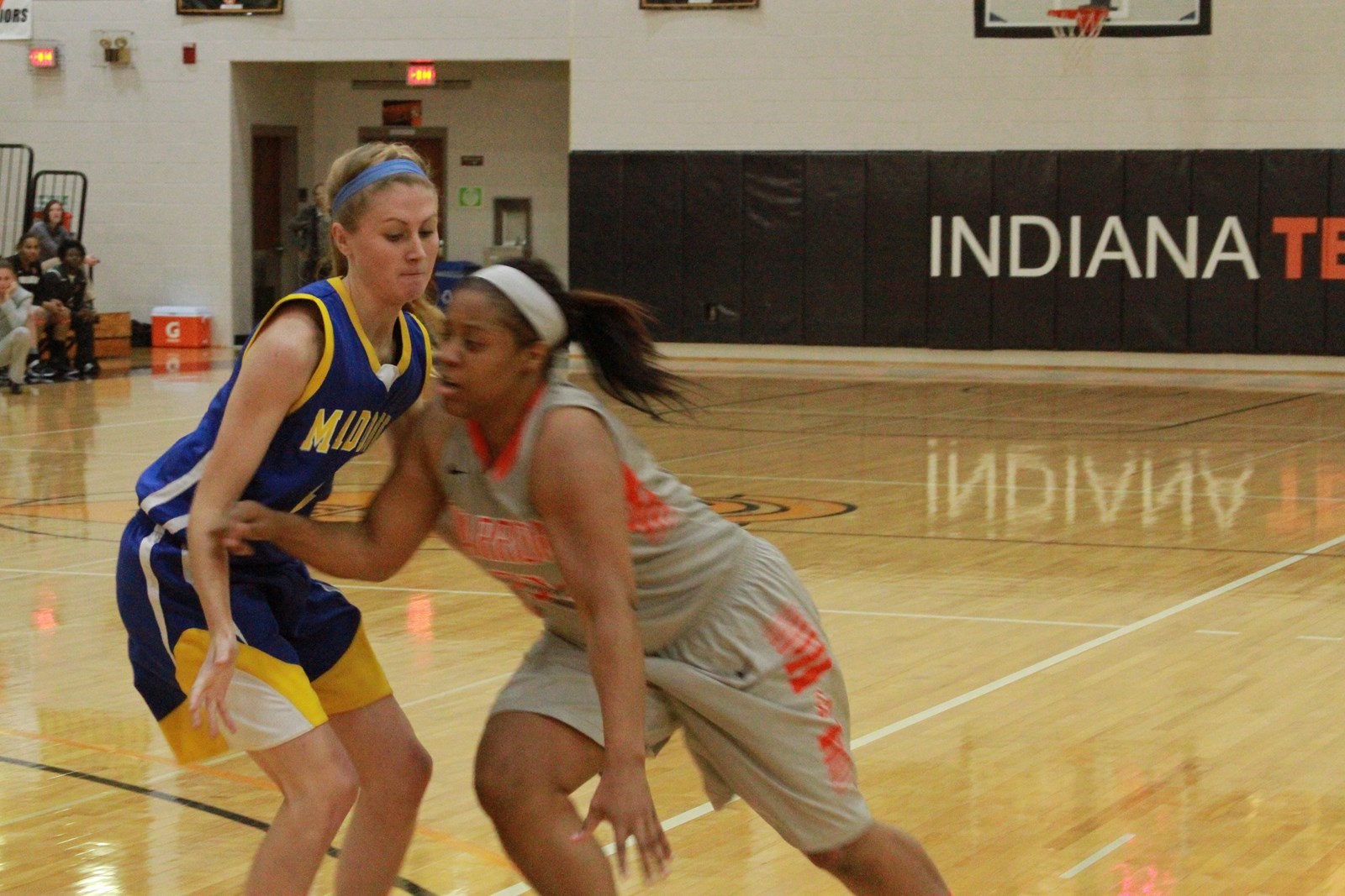 Ulyssia Richmond - 2013-14 - Women's Basketball - Indiana Tech Athletics