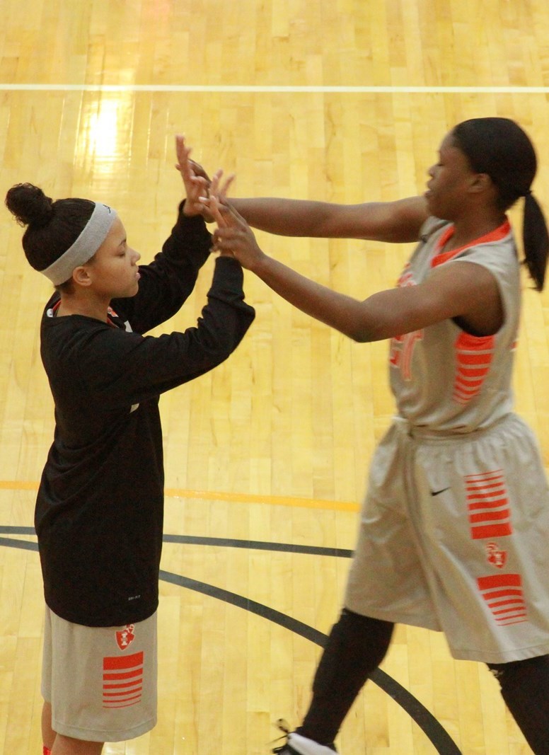 Chelsea Carradine - 2013-14 - Women's Basketball - Indiana Tech Athletics