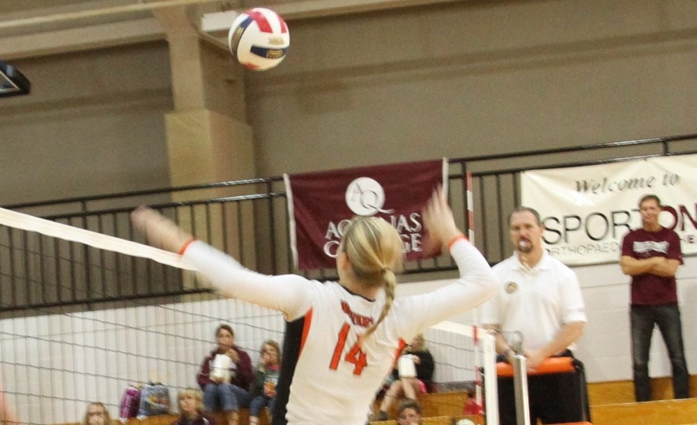 Stacy Nagy - 2014 - Women's Volleyball - Indiana Tech Athletics