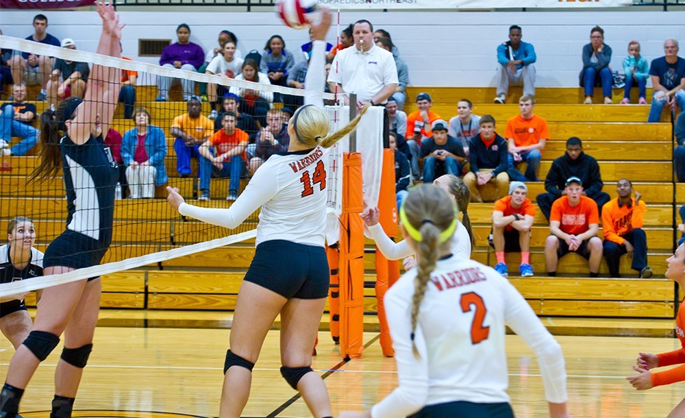 Stacy Nagy - 2014 - Women's Volleyball - Indiana Tech Athletics