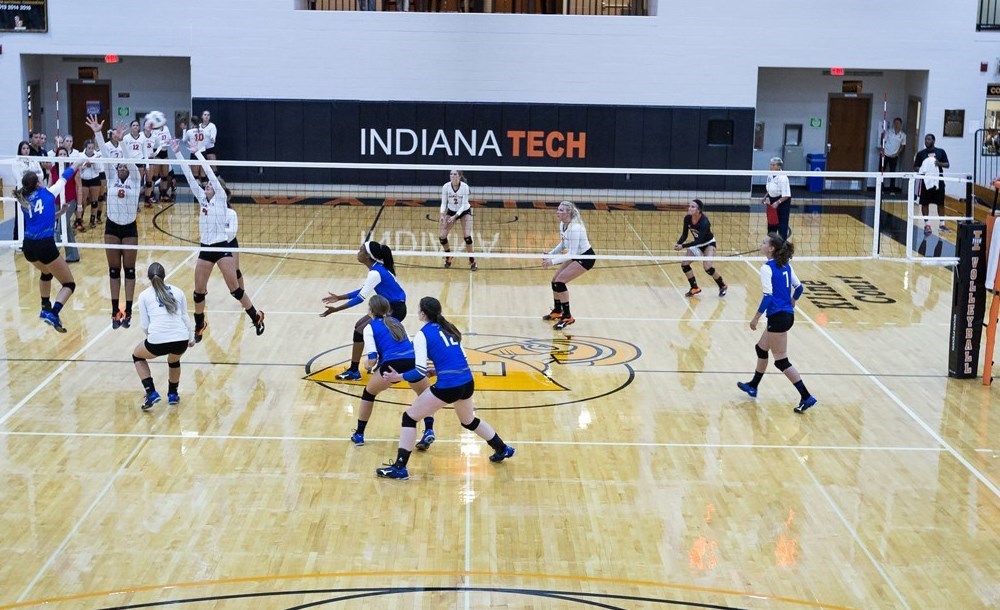 Cassie Sarabia - 2016 - Women's Volleyball - Indiana Tech Athletics
