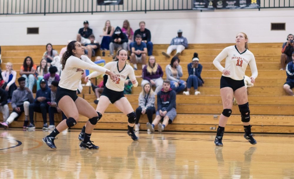 Warriors Falter Against 20th Ranked Crusaders - Indiana Tech Athletics