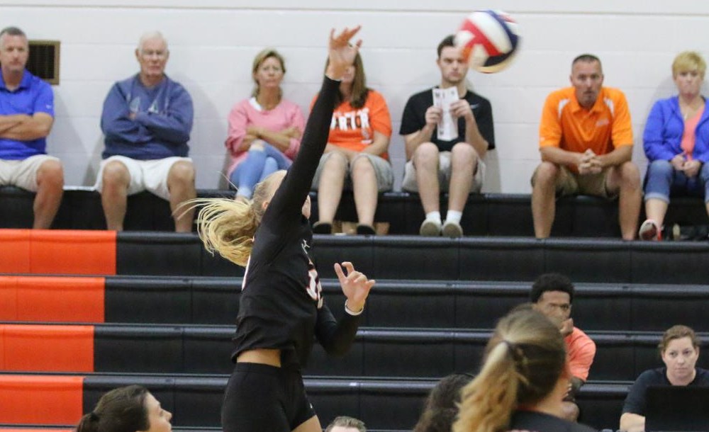 Erika Foy - 2019 - Women's Volleyball - Indiana Tech Athletics