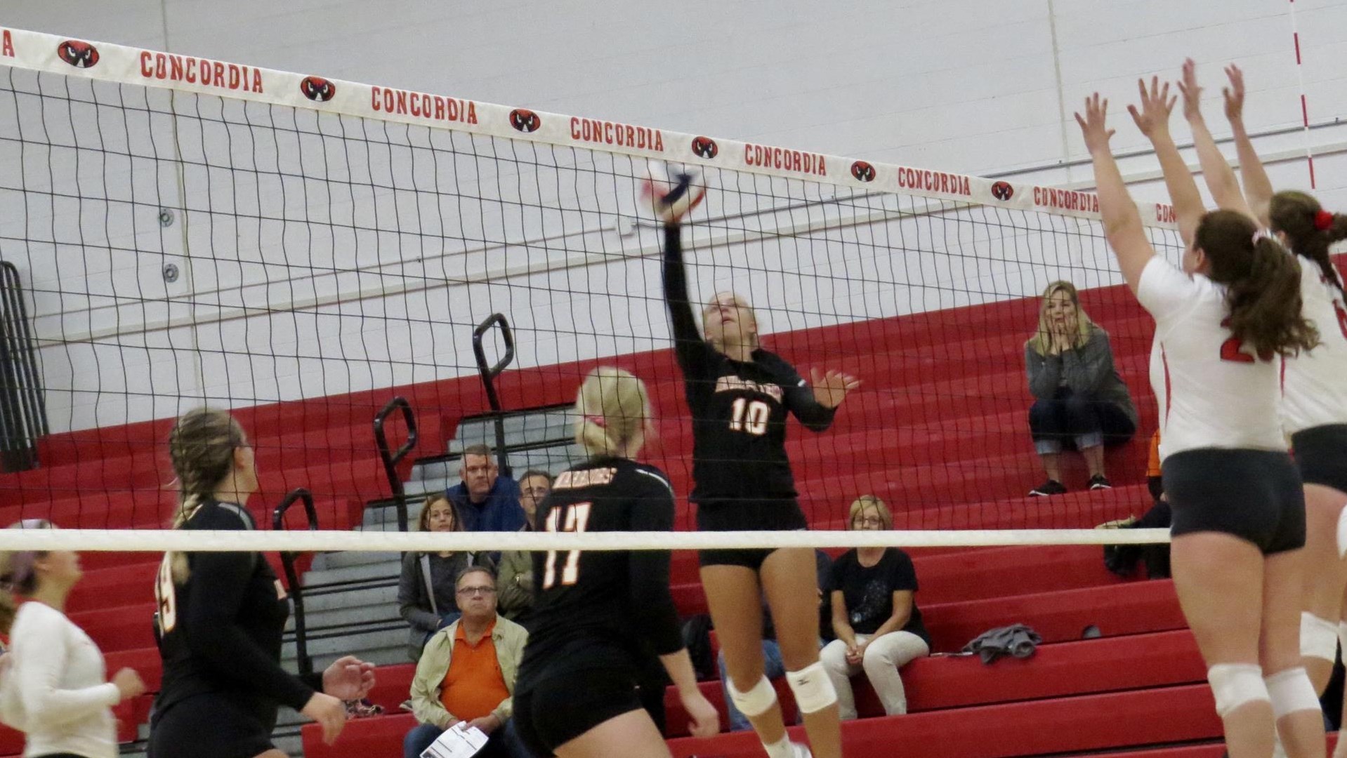 Erika Foy - 2019 - Women's Volleyball - Indiana Tech Athletics
