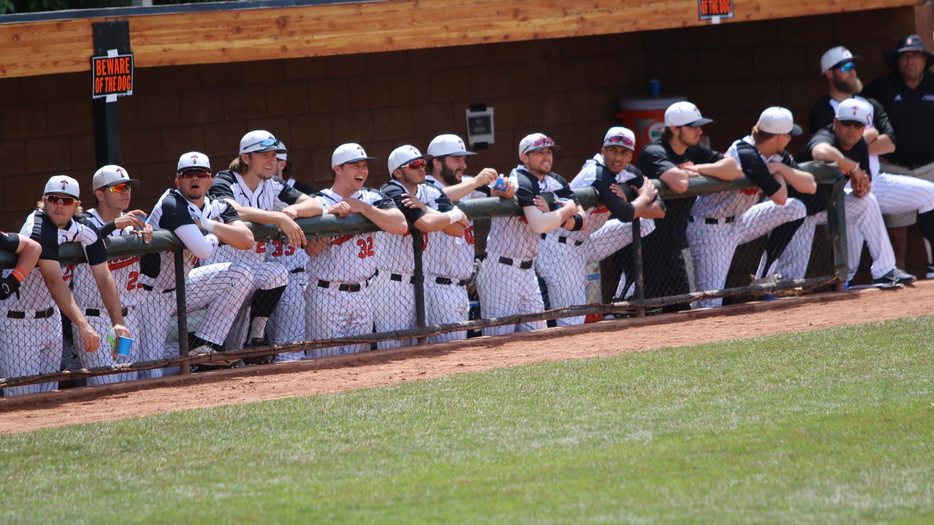 Jacob Daftari - 2023 - Baseball - Indiana Tech Athletics