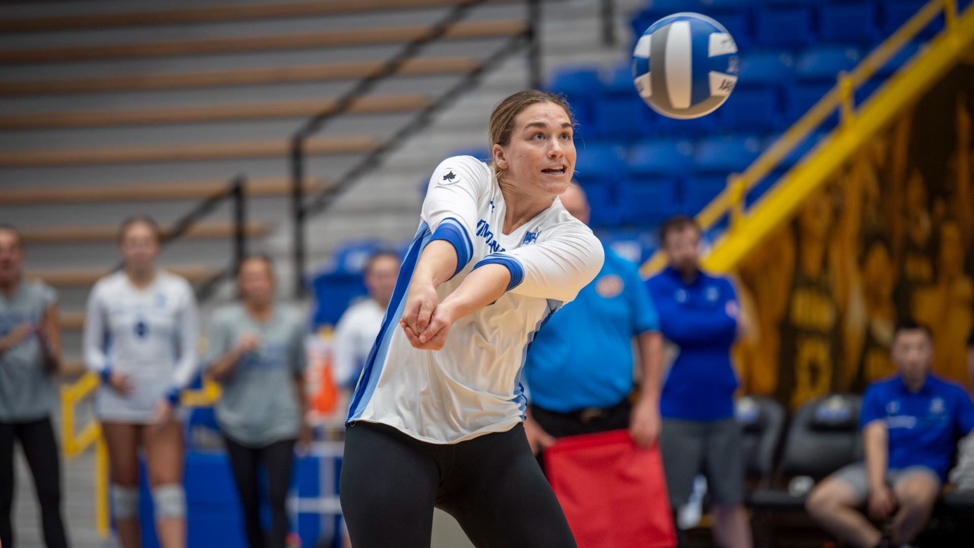 Asia Povlin - Women's Volleyball - Indiana State University Athletics