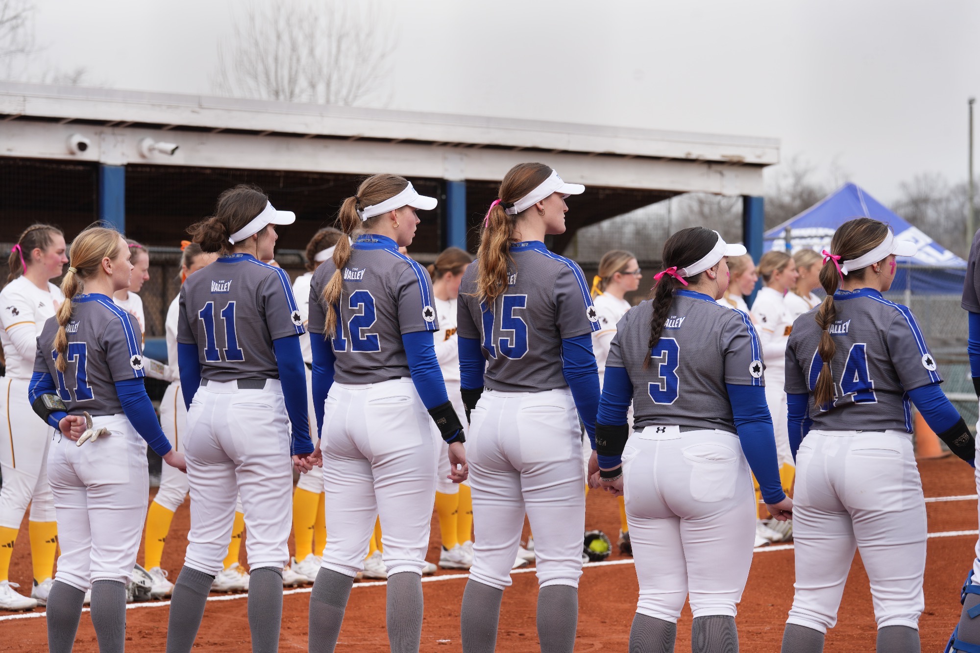 Sycamore Softball starts off 2-0 in Nashville - Indiana State ...