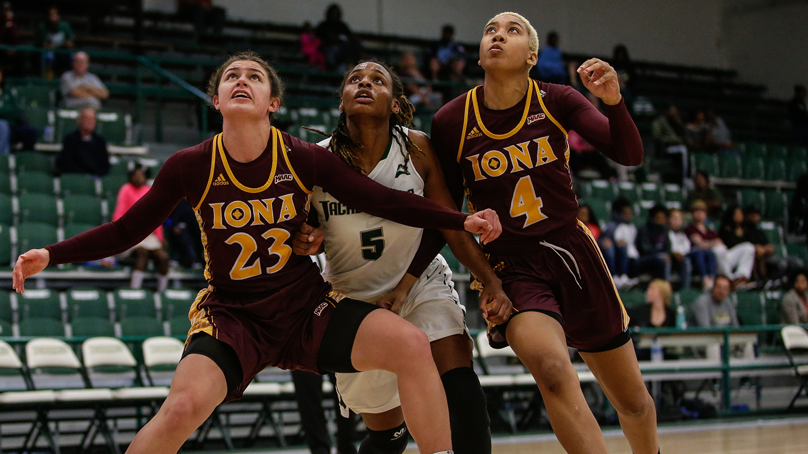 Amelia Motz - Women's Basketball - Iona University Athletics
