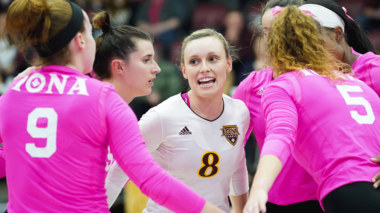 Tess Connolly - Volleyball - Iona University Athletics