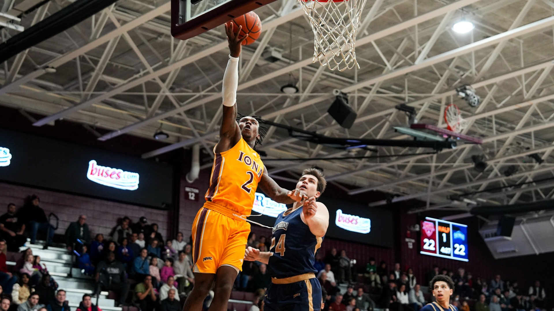 Greg Gordon - Men's Basketball - Iona University Athletics
