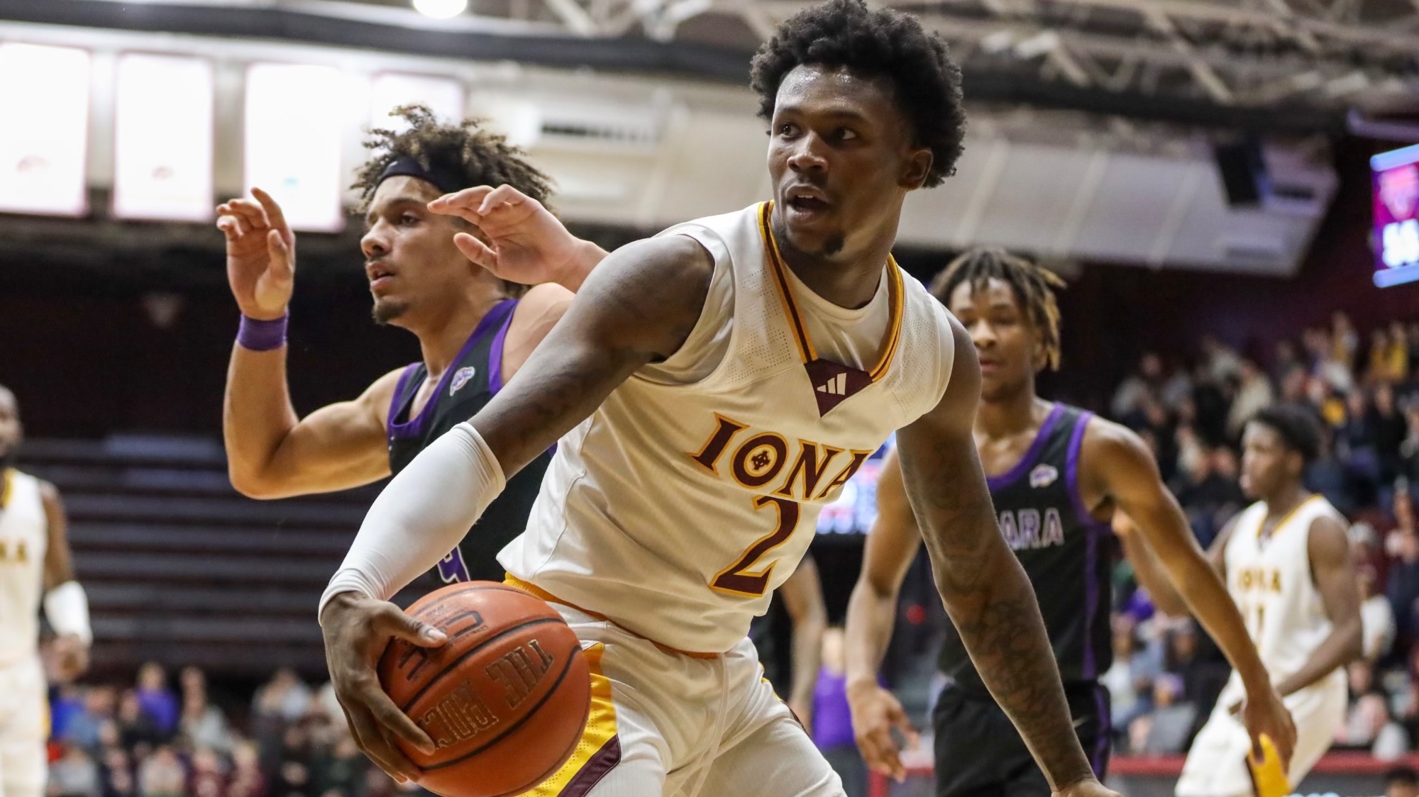 Greg Gordon - Men's Basketball - Iona University Athletics