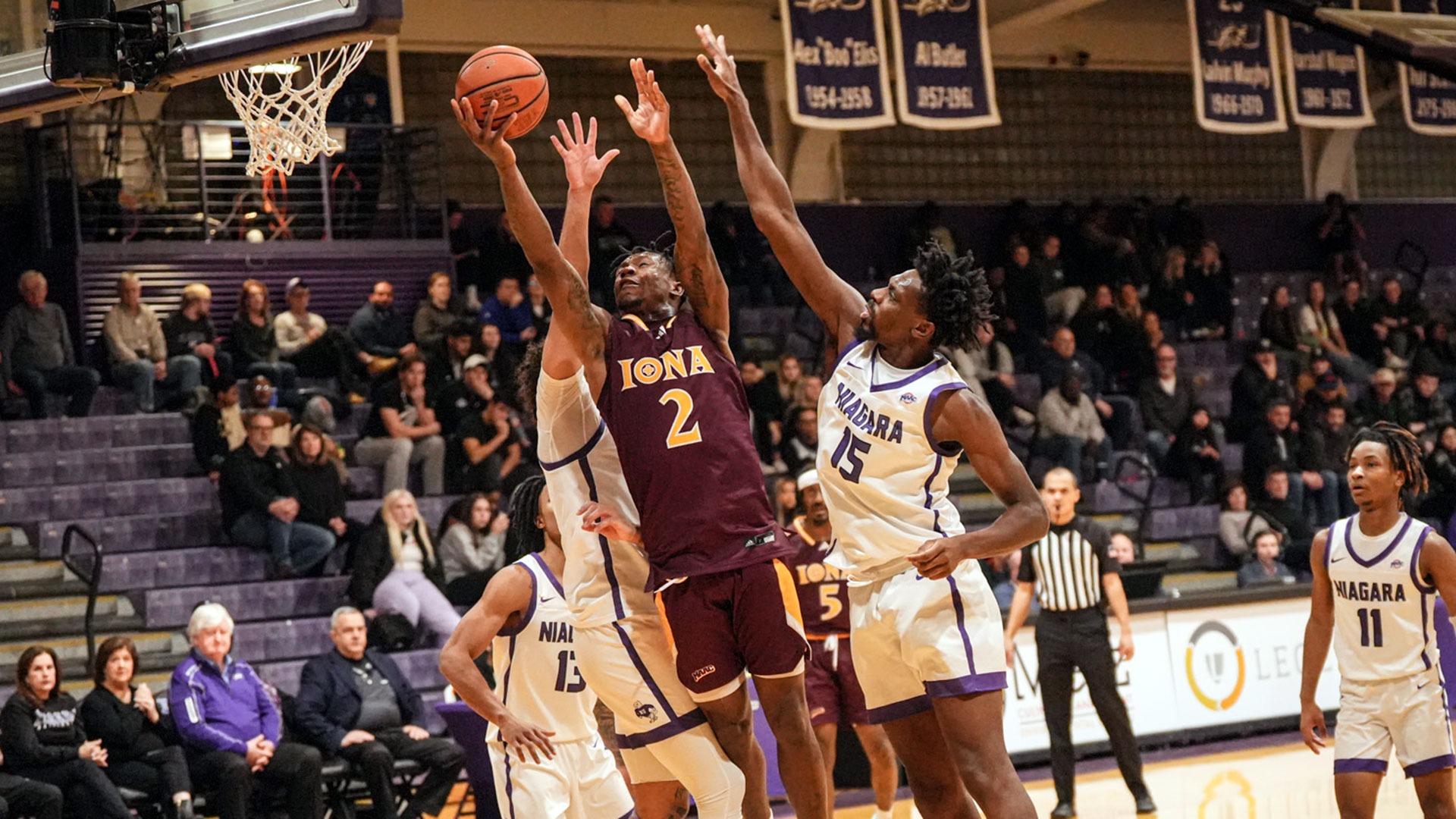 Greg Gordon - Men's Basketball - Iona University Athletics