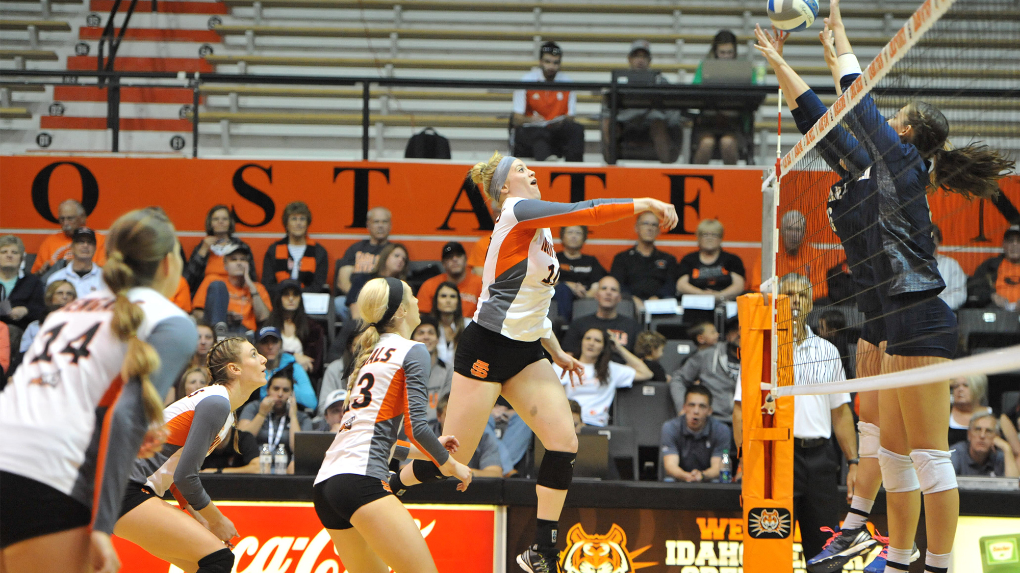 Chloe Hirst - 2017 - Women's Volleyball - Idaho State University Athletics