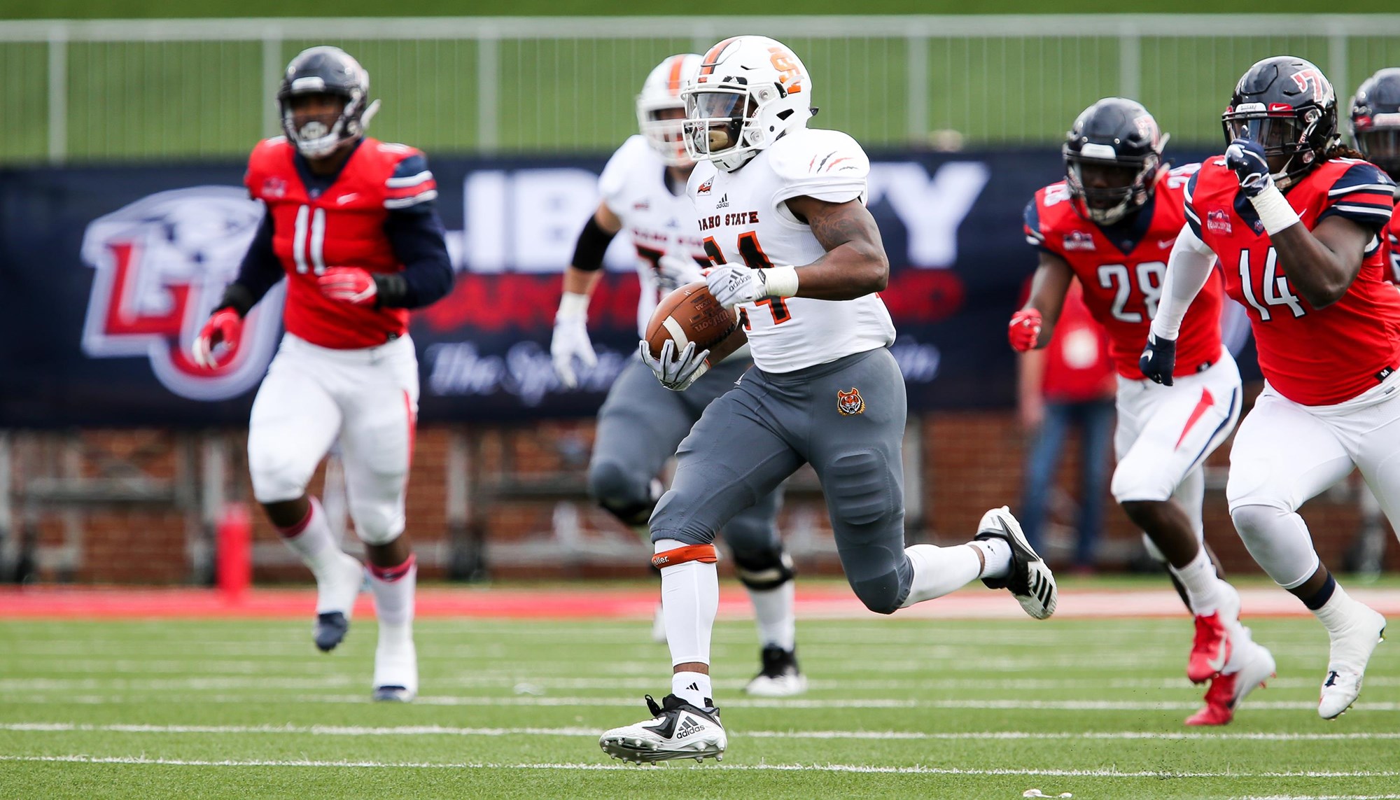 Ty Flanagan - 2019 - Football - Idaho State University Athletics