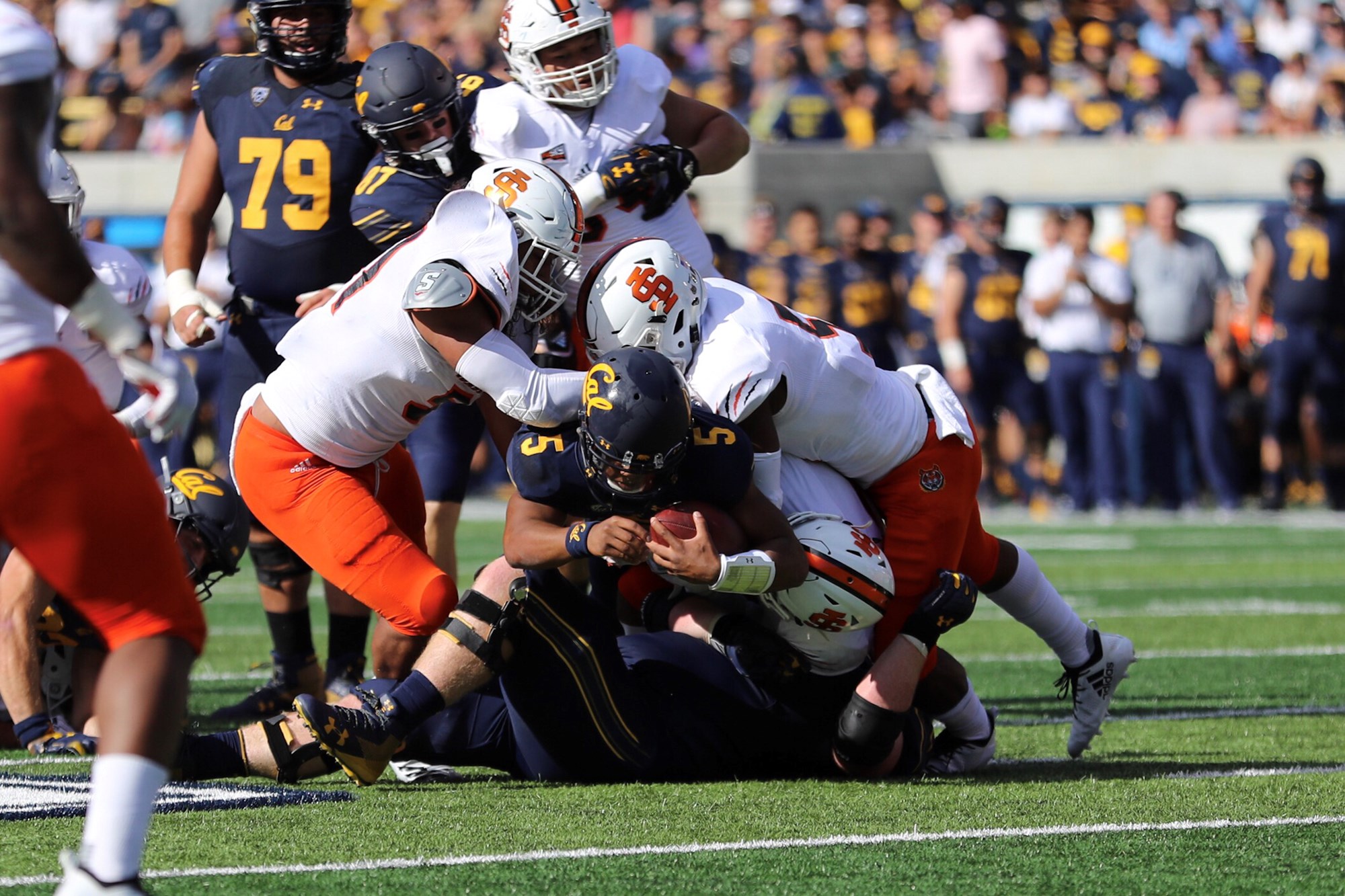 Paea Moala - 2018 - Football - Idaho State University Athletics