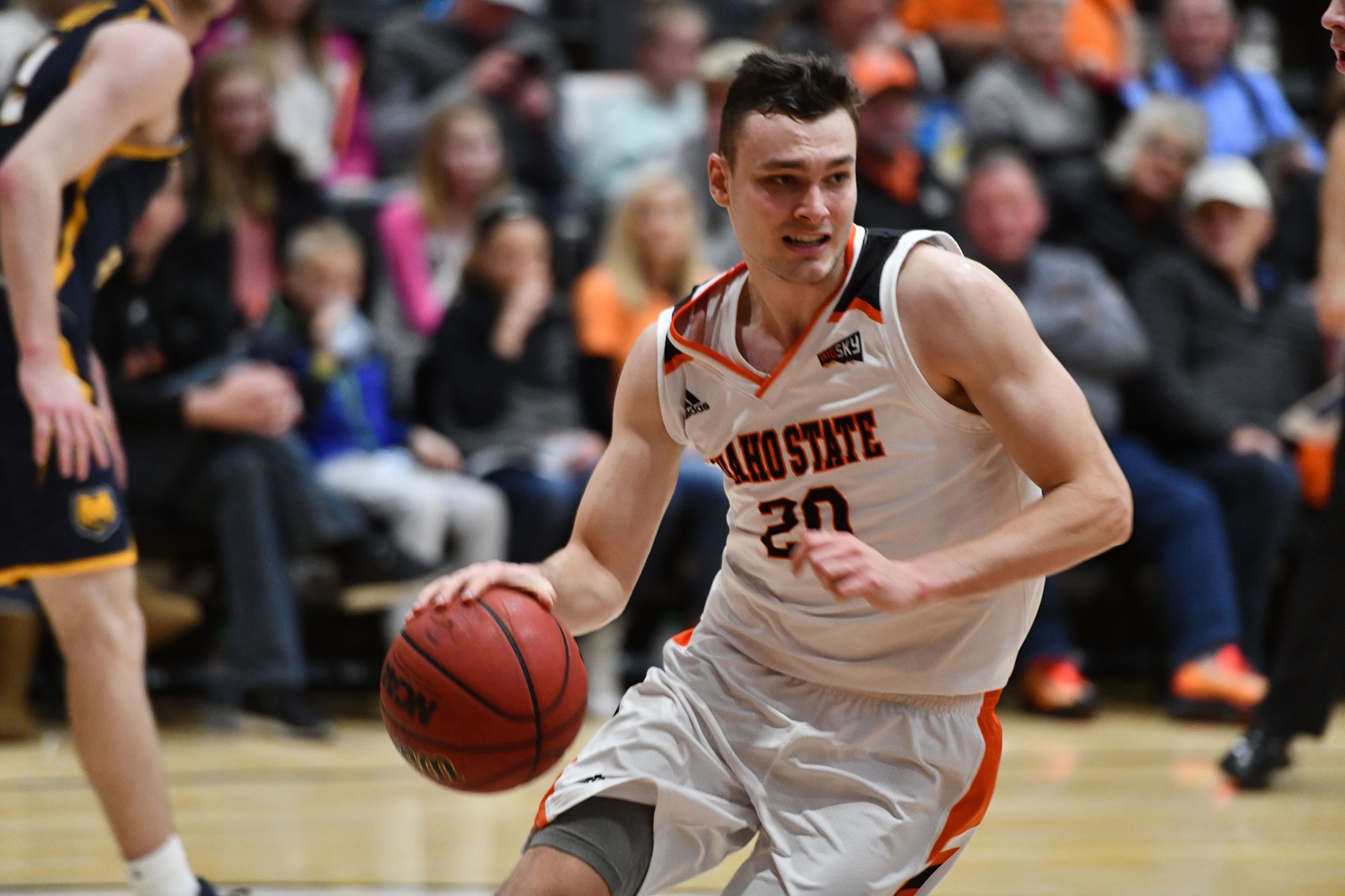 Balint Mocsan - 2019-20 - Men's Basketball - Idaho State University ...