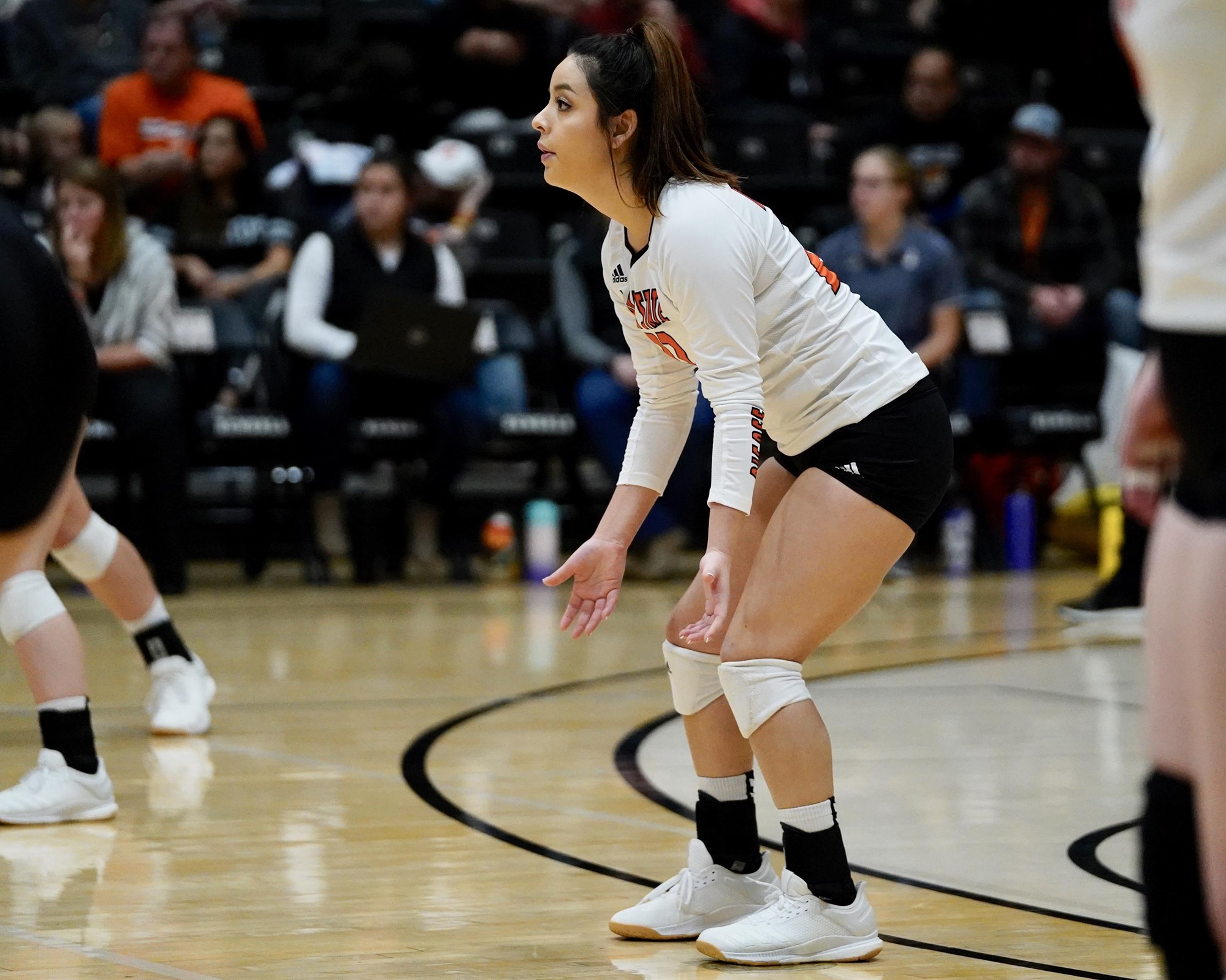Dear Volleyball: By Kayla Ledezma - Idaho State University Athletics