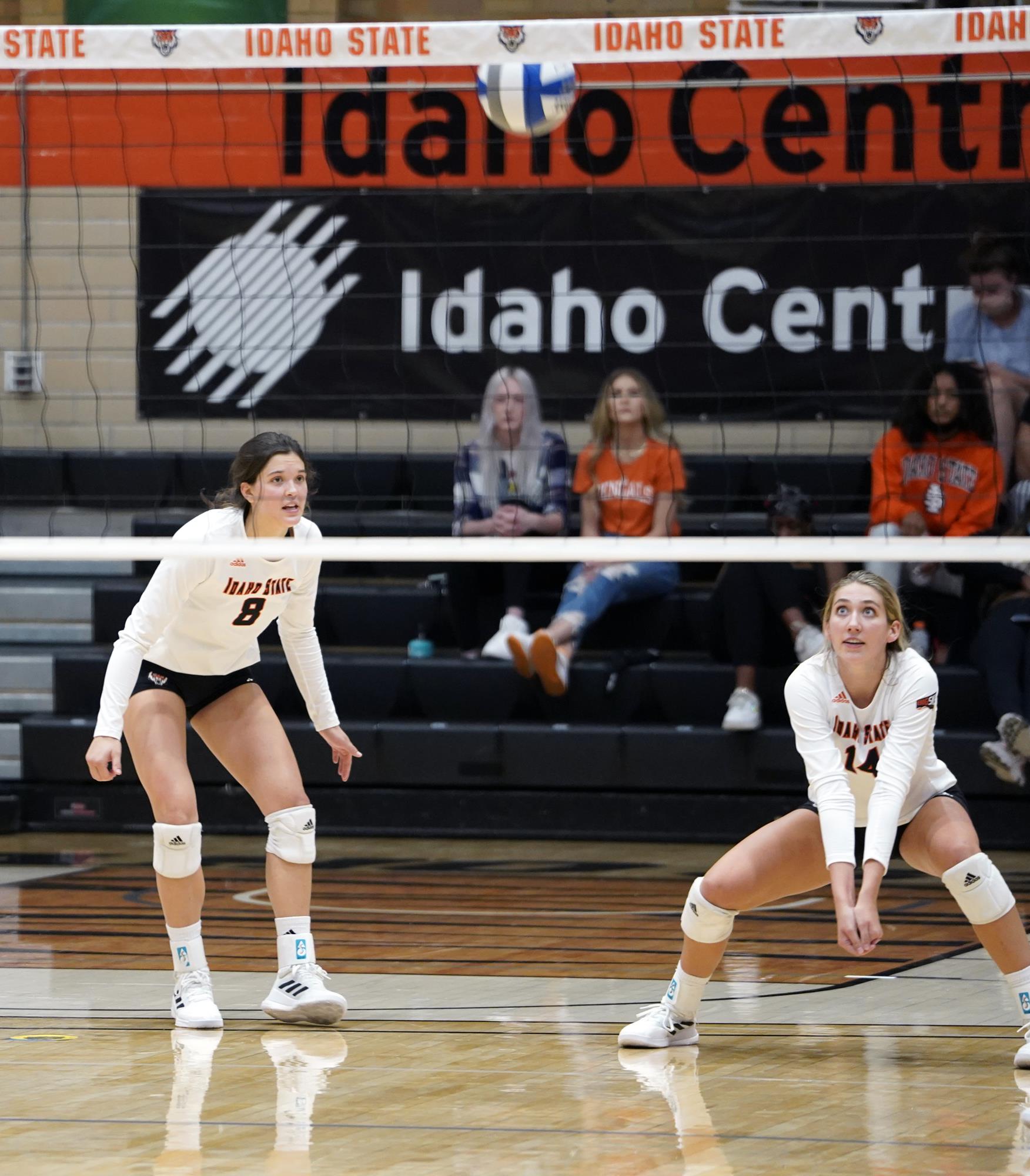 Sadie Bluth - 2024 - Women's Volleyball - Idaho State University Athletics