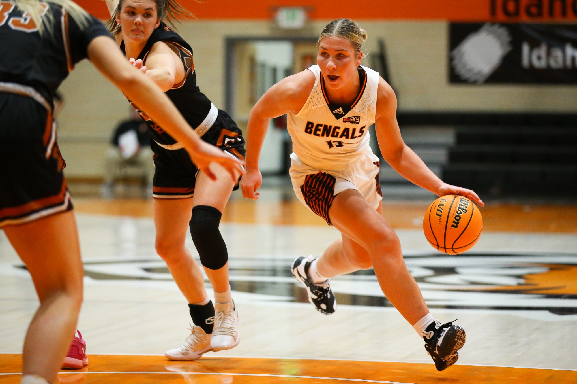 Bourne Scores 1,000th Point as Bengals Roll Over Montana Tech - Idaho ...