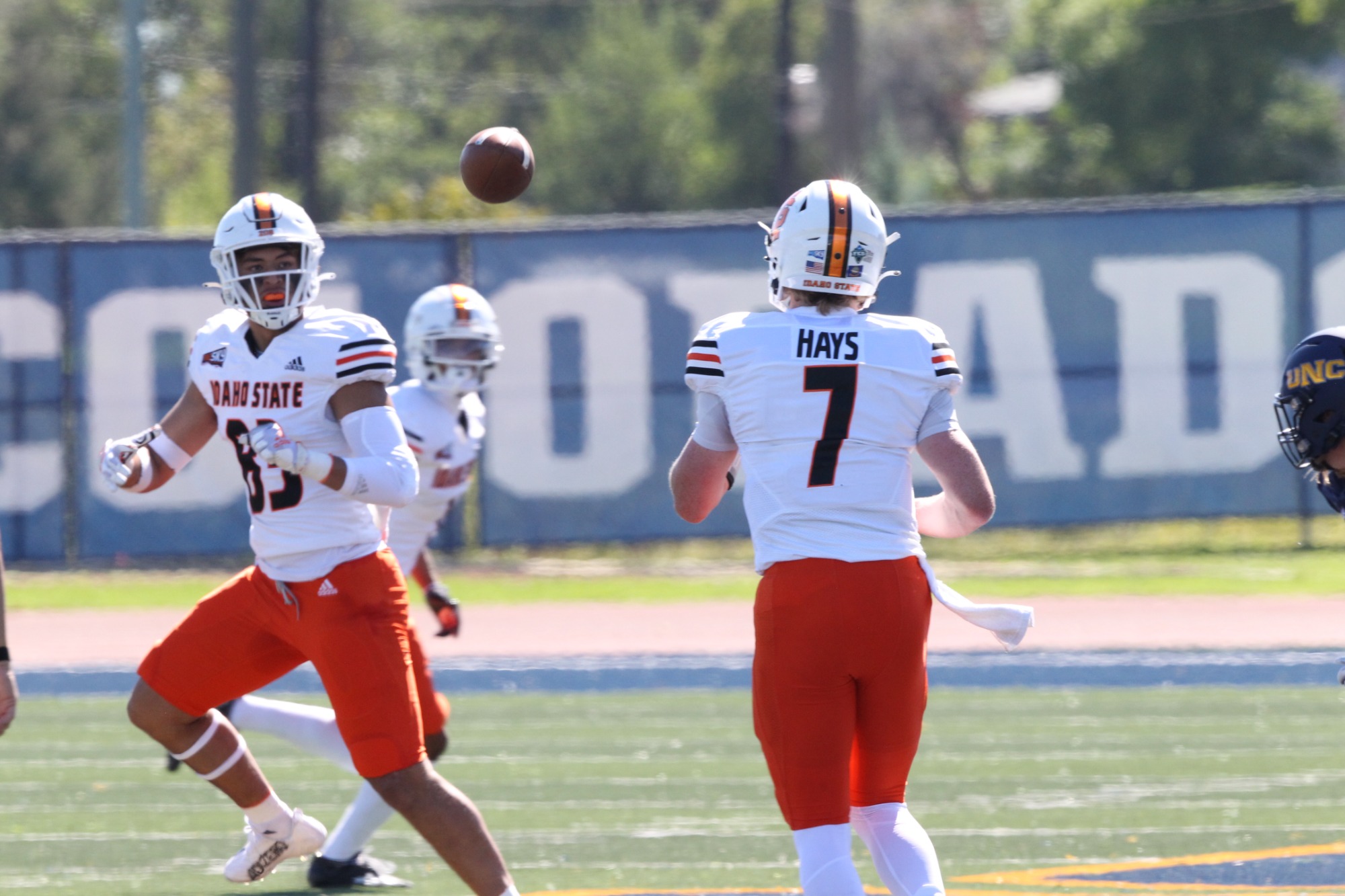 Hunter Hays - 2024 - Football - Idaho State University Athletics