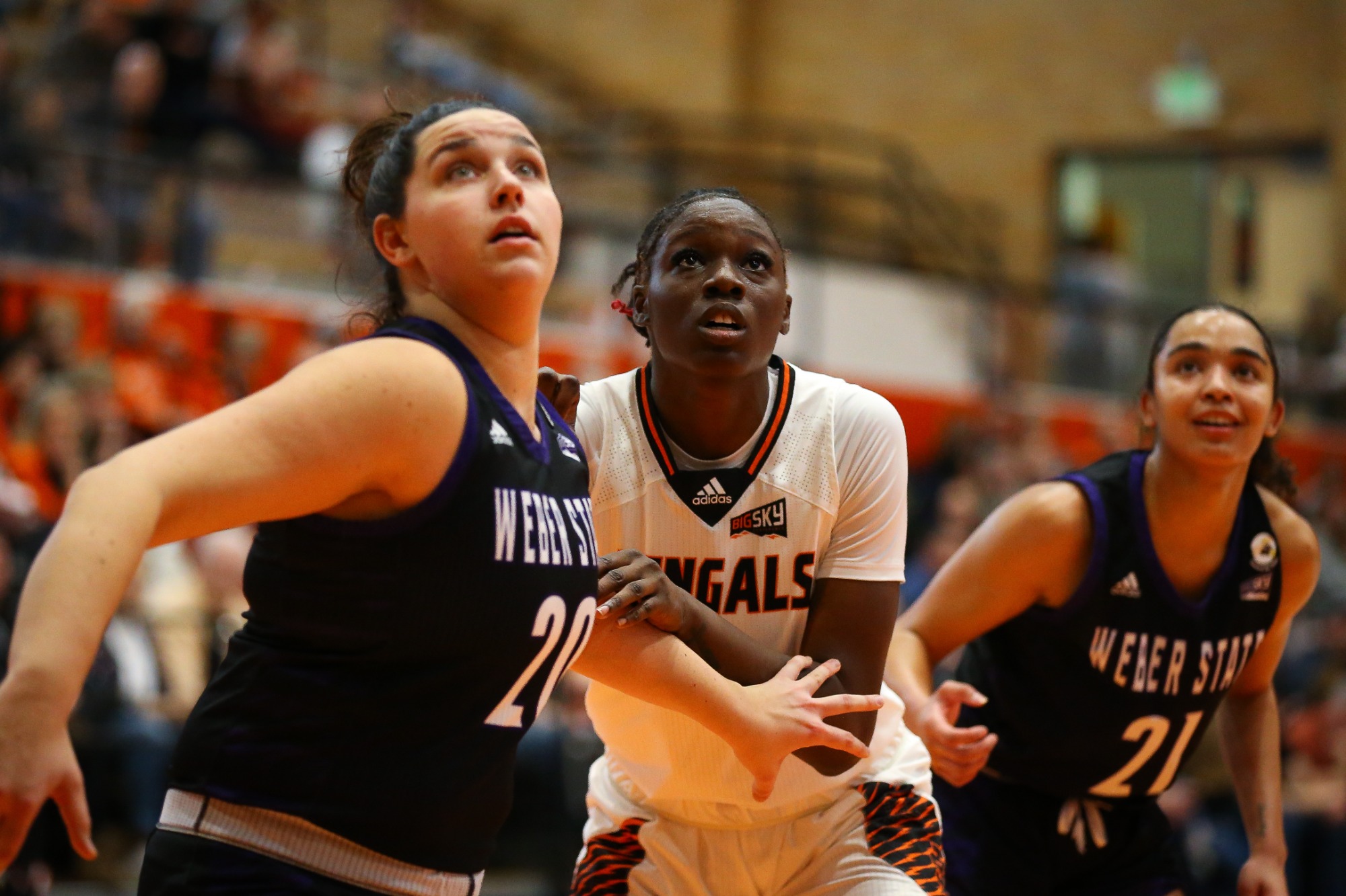 Bengals Head North to Take on the Vandals - Idaho State University Athletics