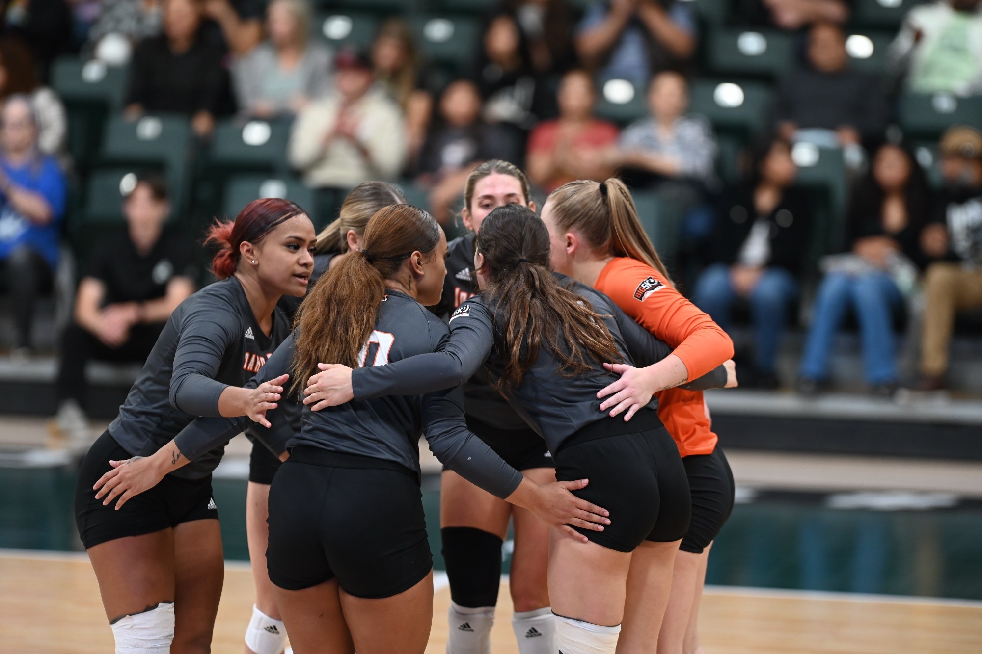 Idaho State Volleyball Goes 1-1 on West Coast Road Trip - Idaho State ...