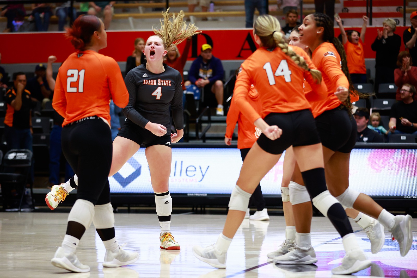 Bengal Volleyball Heating Up, Winning 4 In a Row - Idaho State University Athletics