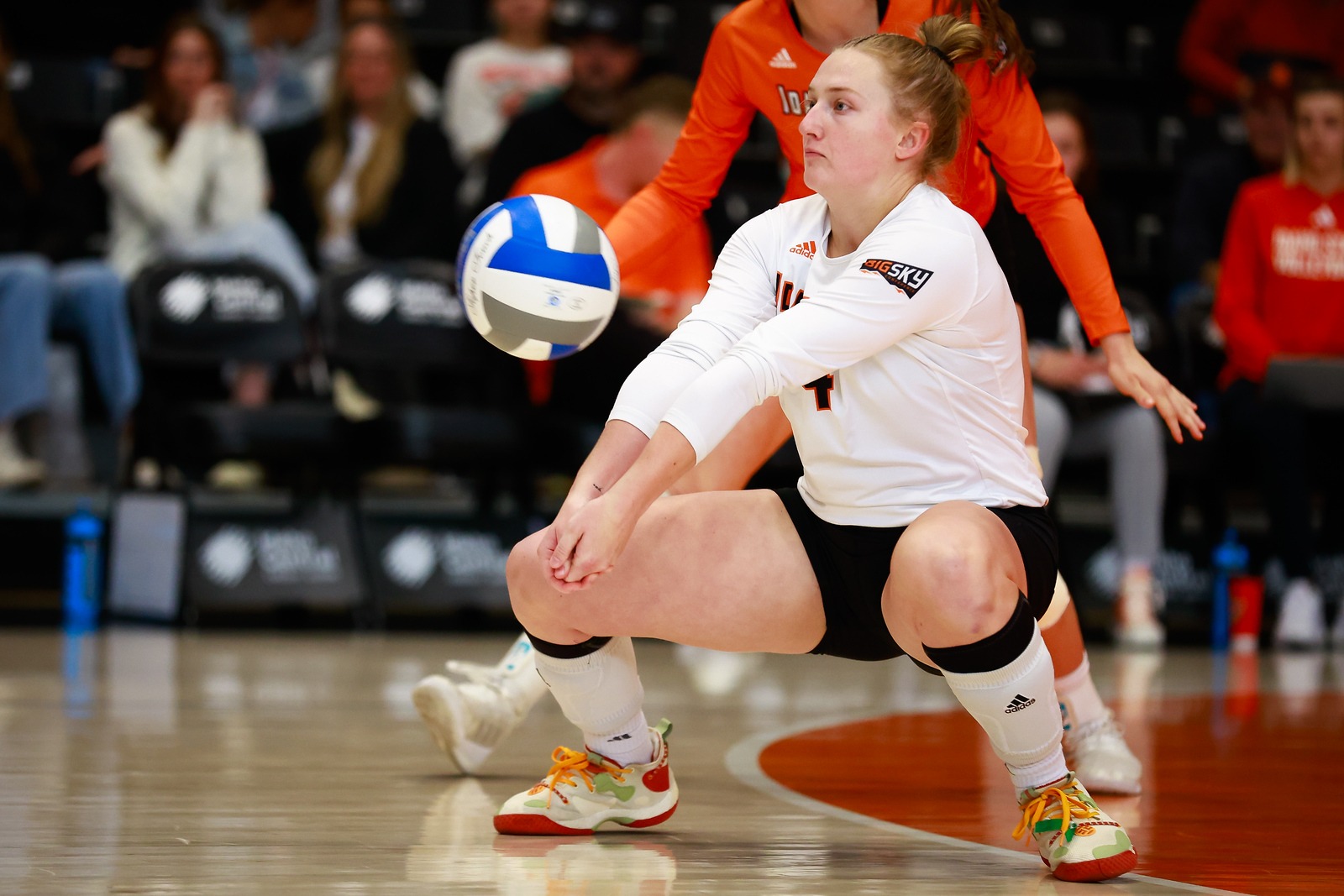 Lily Liekweg - 2023 - Women's Volleyball - Idaho State University Athletics