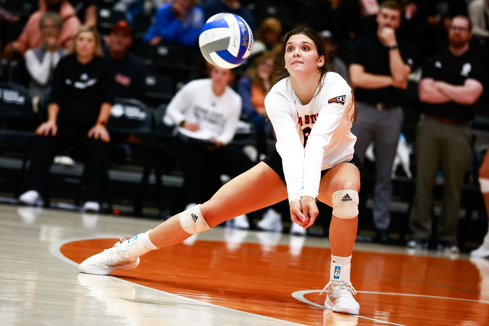 Jamie Streit - 2024 - Women's Volleyball - Idaho State University Athletics