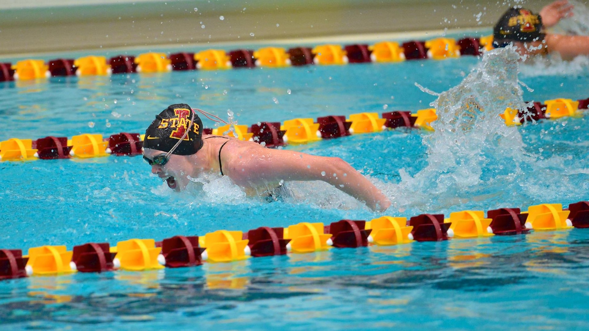 Marissa Engel - Swimming and Diving - Iowa State University Athletics