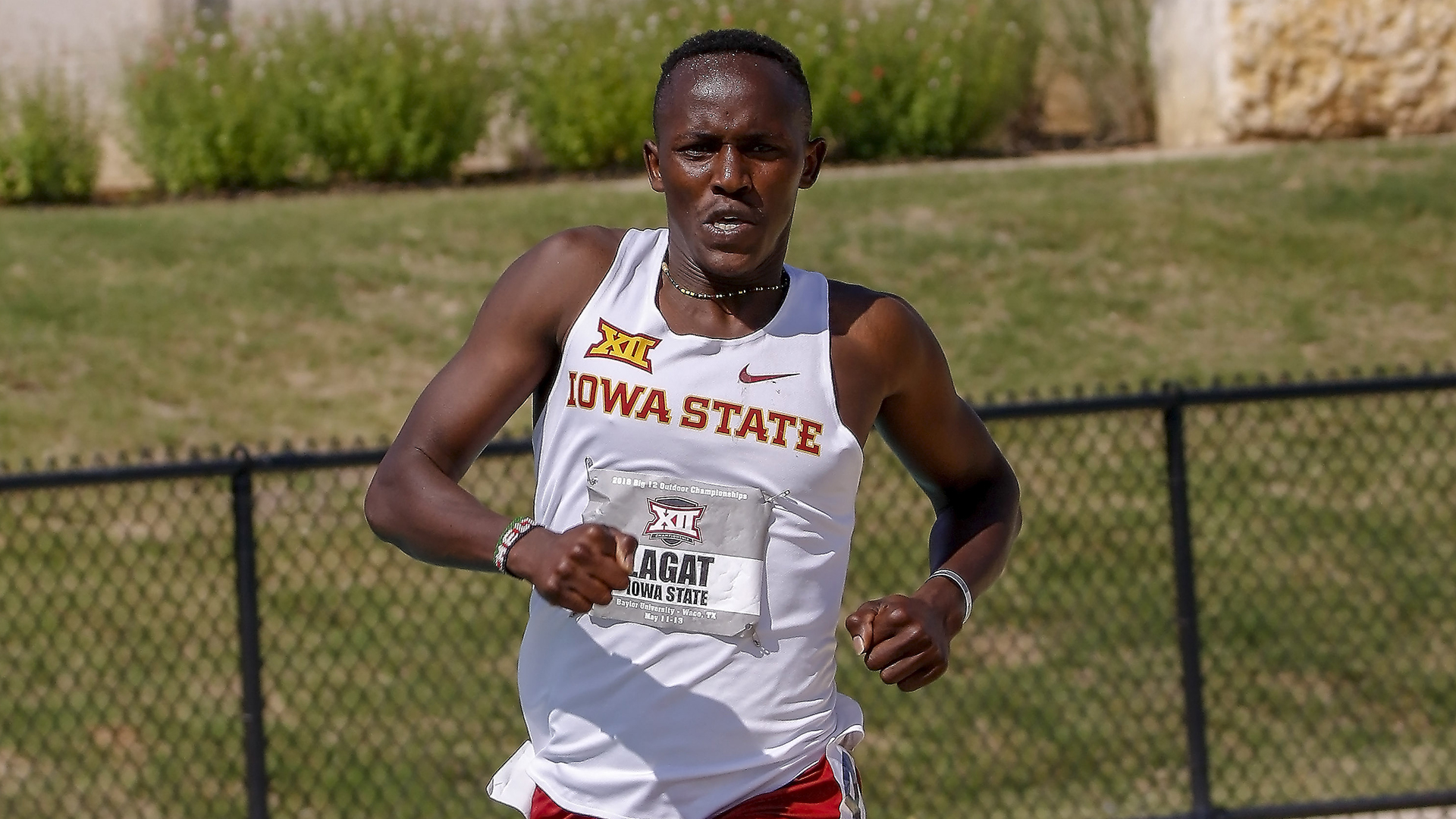 Festus Lagat - Track and Field - Iowa State University Athletics