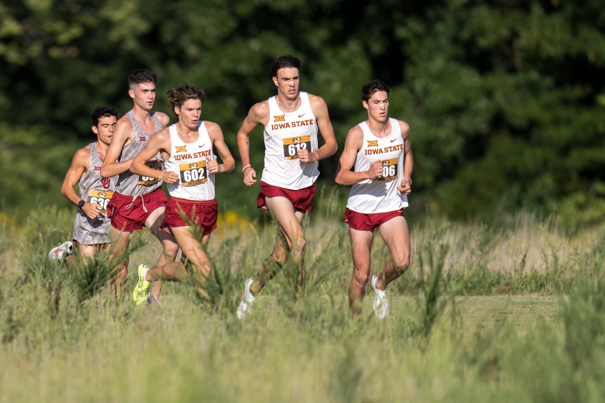 Ryan Watts - Cross Country - Iowa State University Athletics