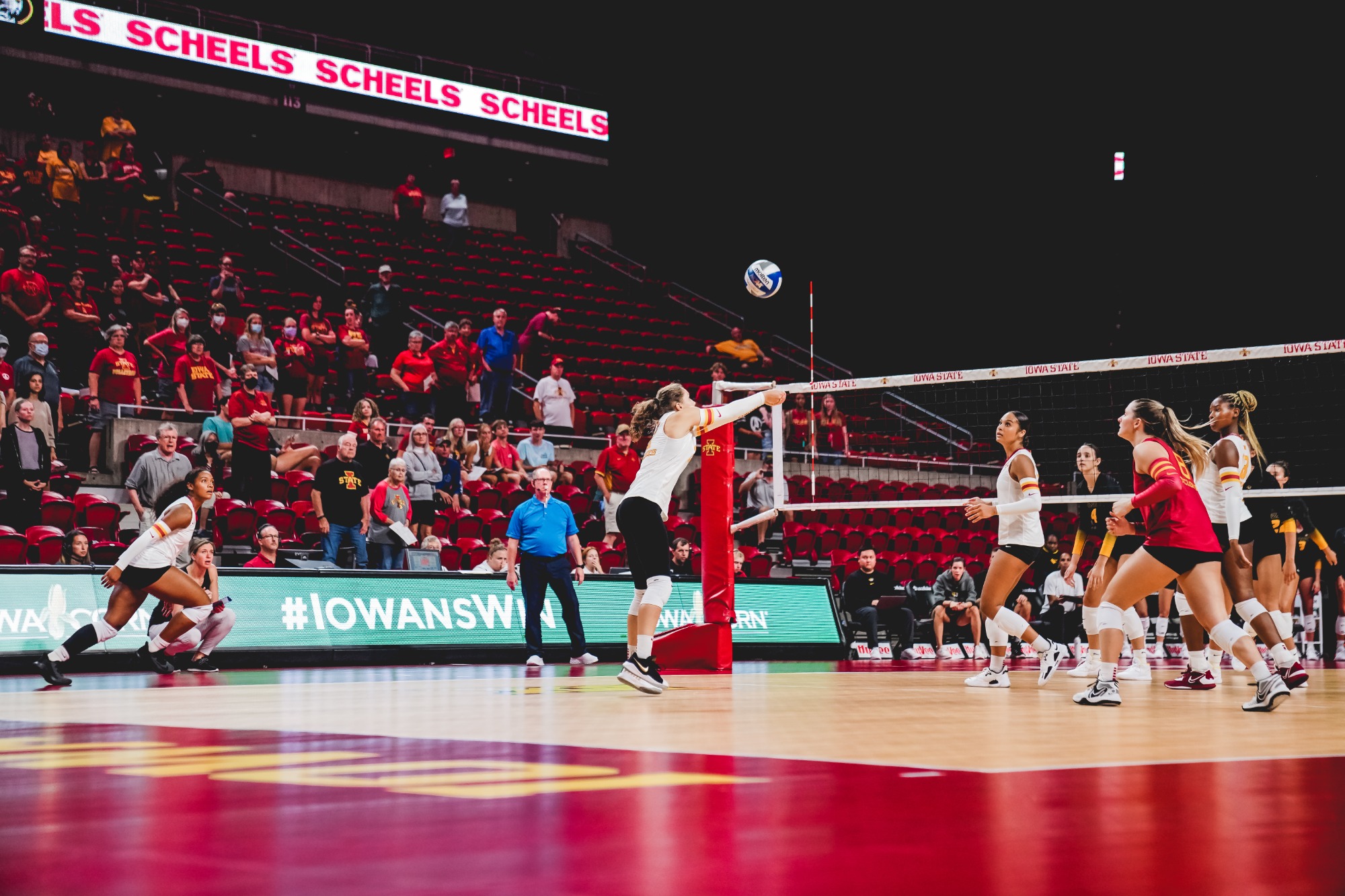 Paula Krzeslak - Volleyball - Iowa State University Athletics