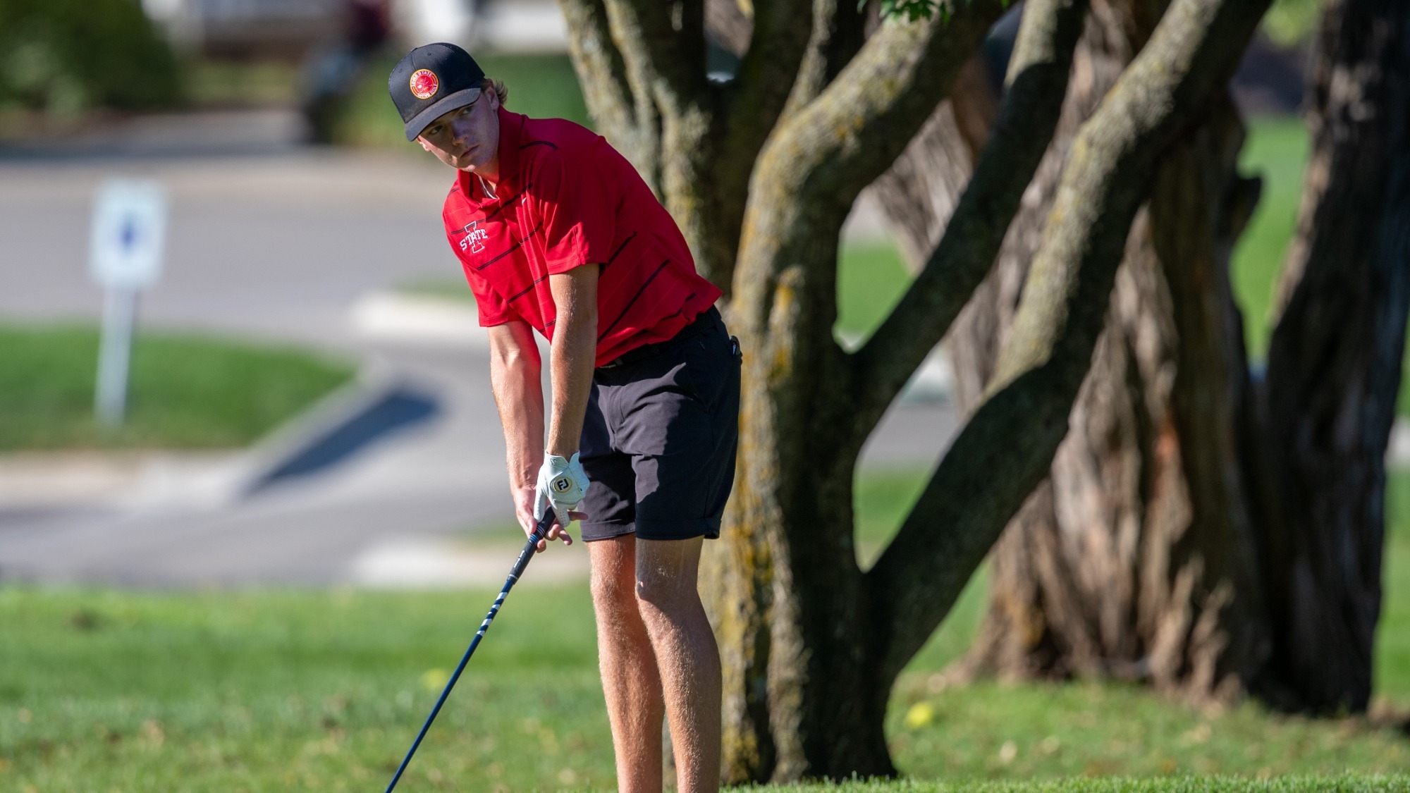 Owen Sawyer - Men's Golf - Iowa State University Athletics
