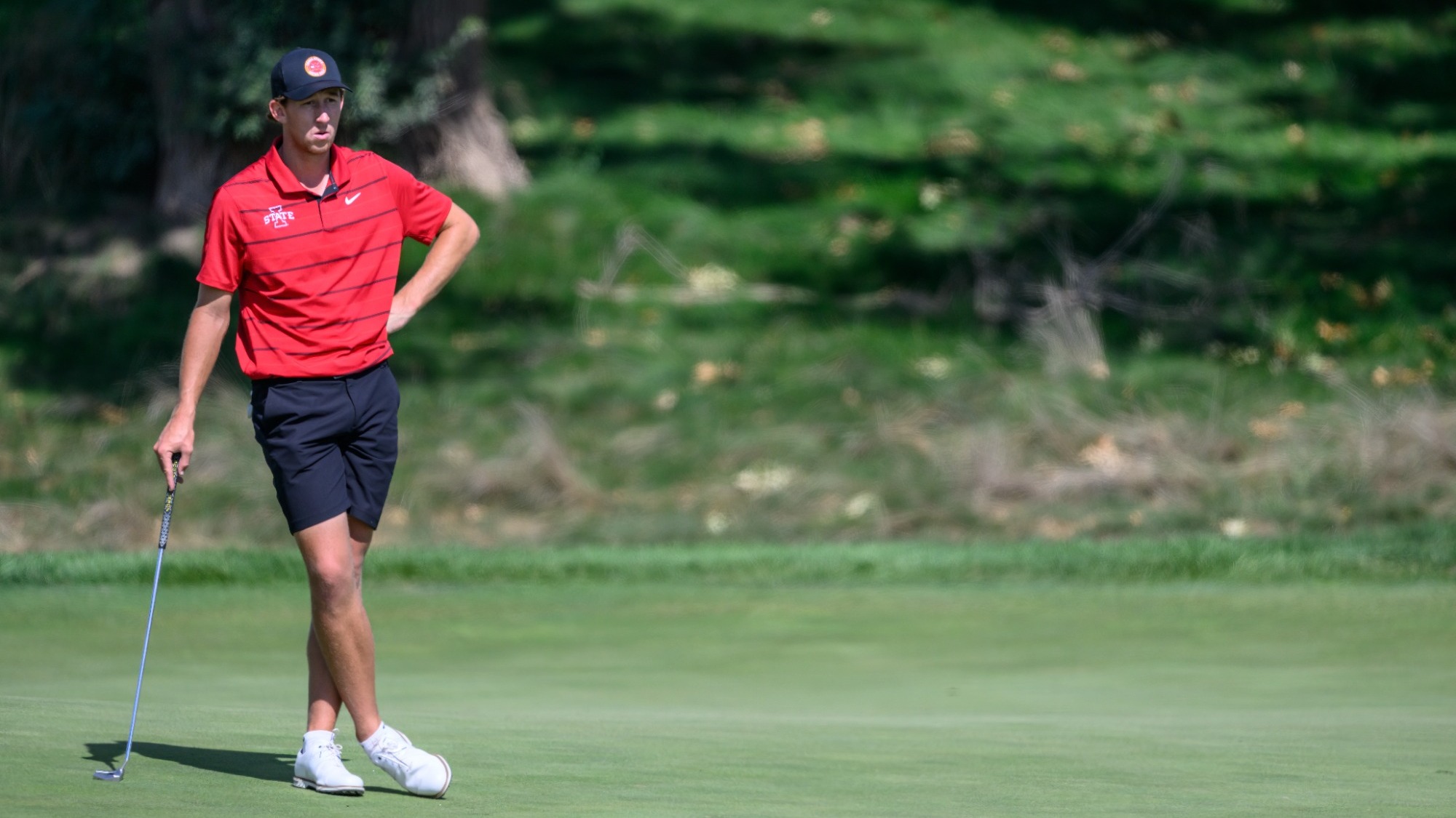 Zach May - Men's Golf - Iowa State University Athletics