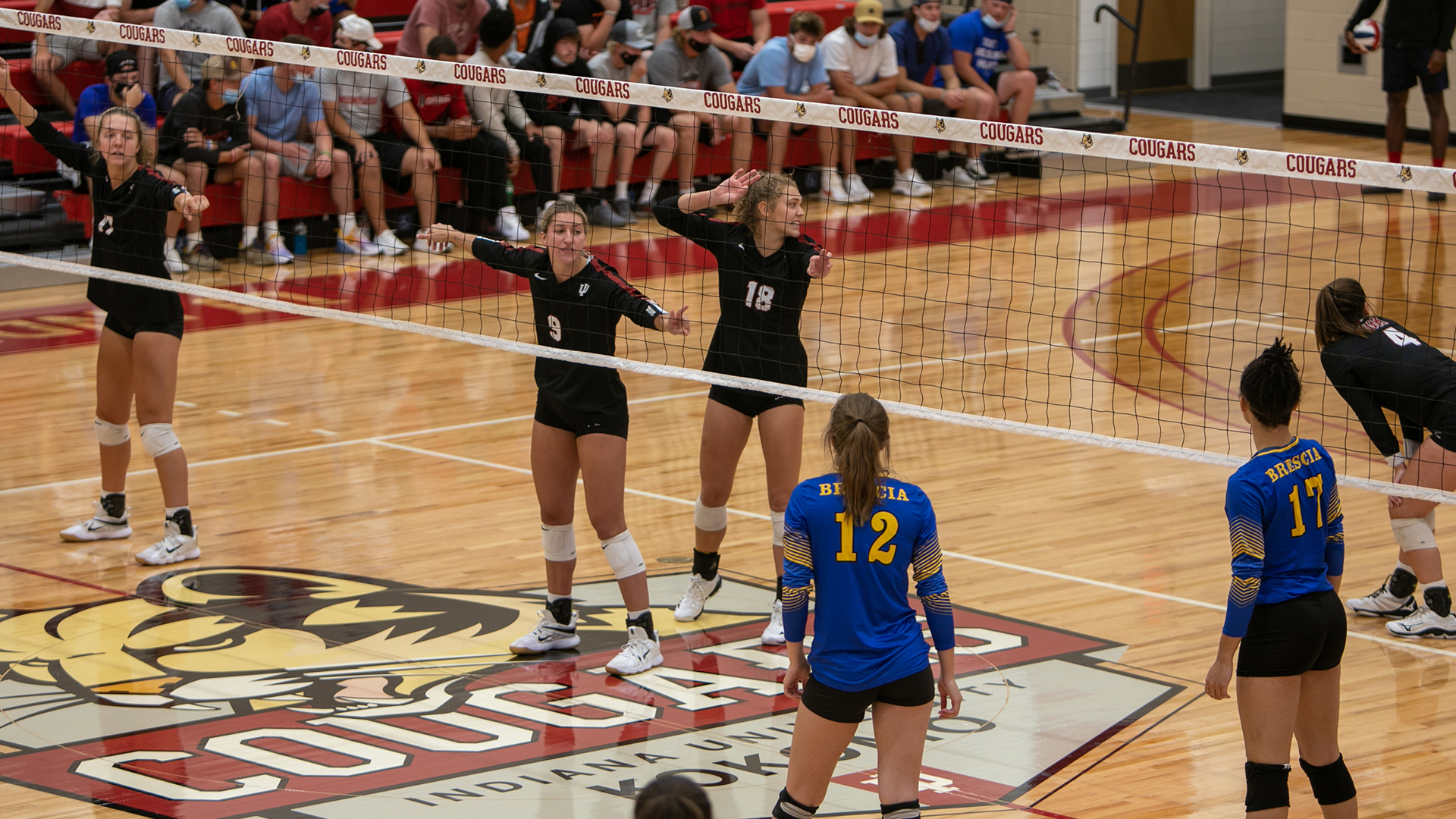 Volleyball Sweeps Carlow; Earns Third Straight Victory - Indiana ...