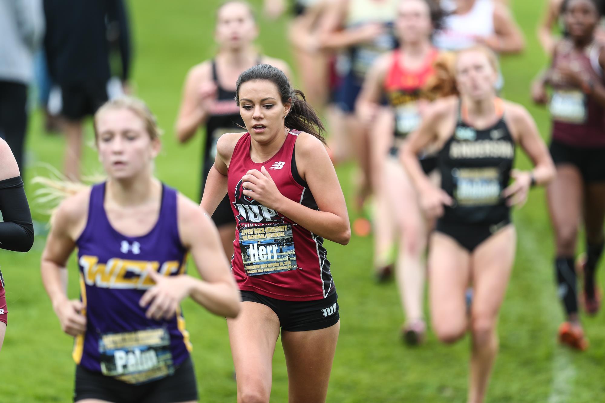 Brianna Herr - Women's Cross Country - Indiana University of ...