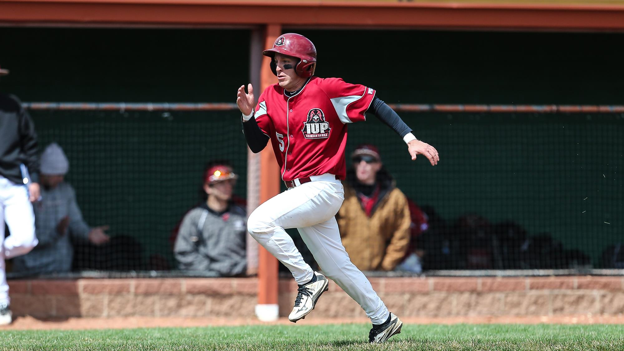 Chris Calliari - Baseball - Indiana University of Pennsylvania Athletics