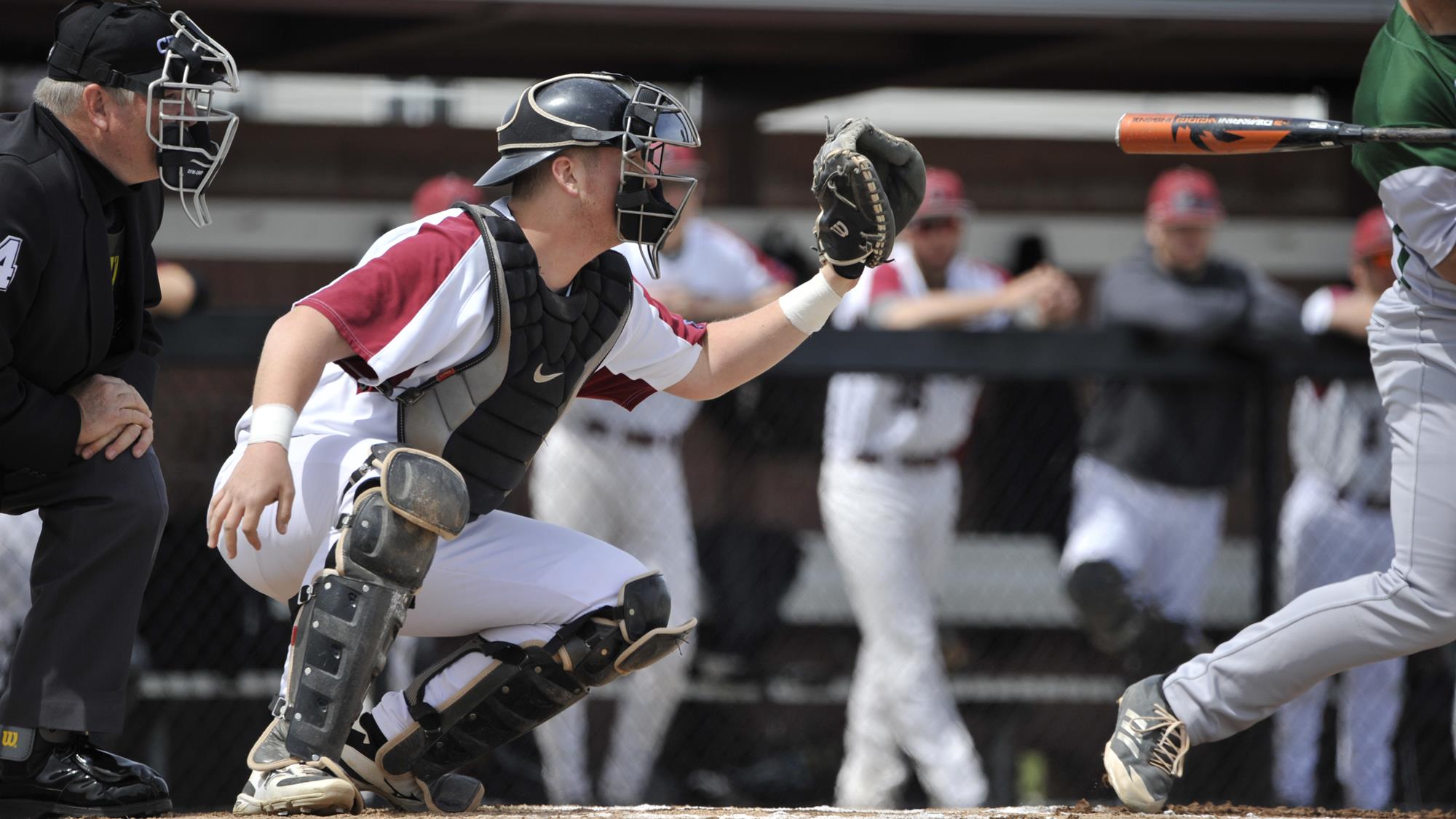 Matt Swartz - Baseball - Indiana University of Pennsylvania Athletics