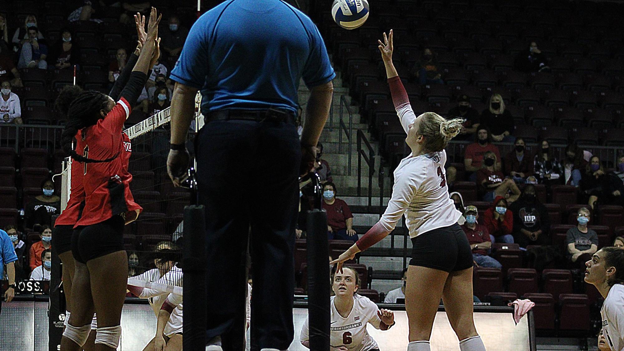 Nicole Peterson - Women's Volleyball - Indiana University of ...