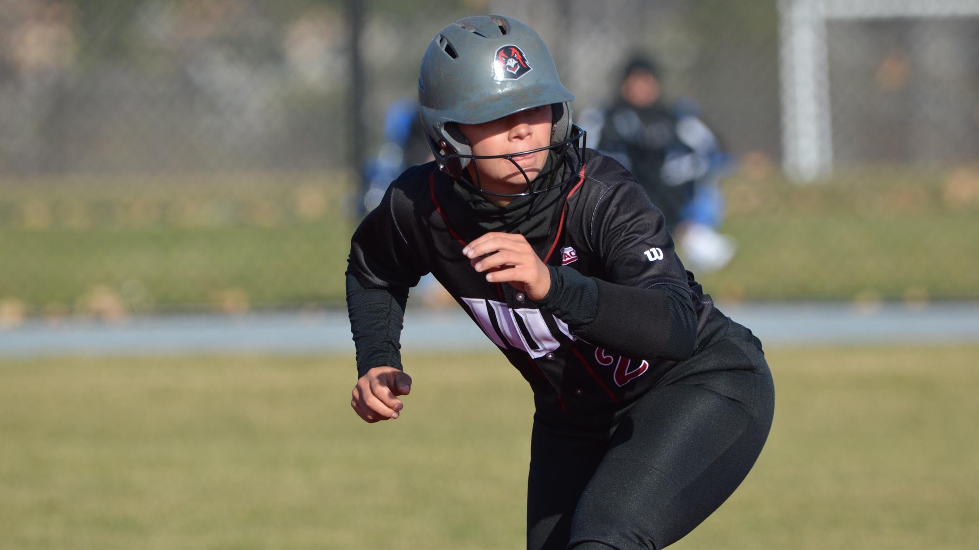 IUP Softball drops two in Erie - Indiana University of Pennsylvania ...