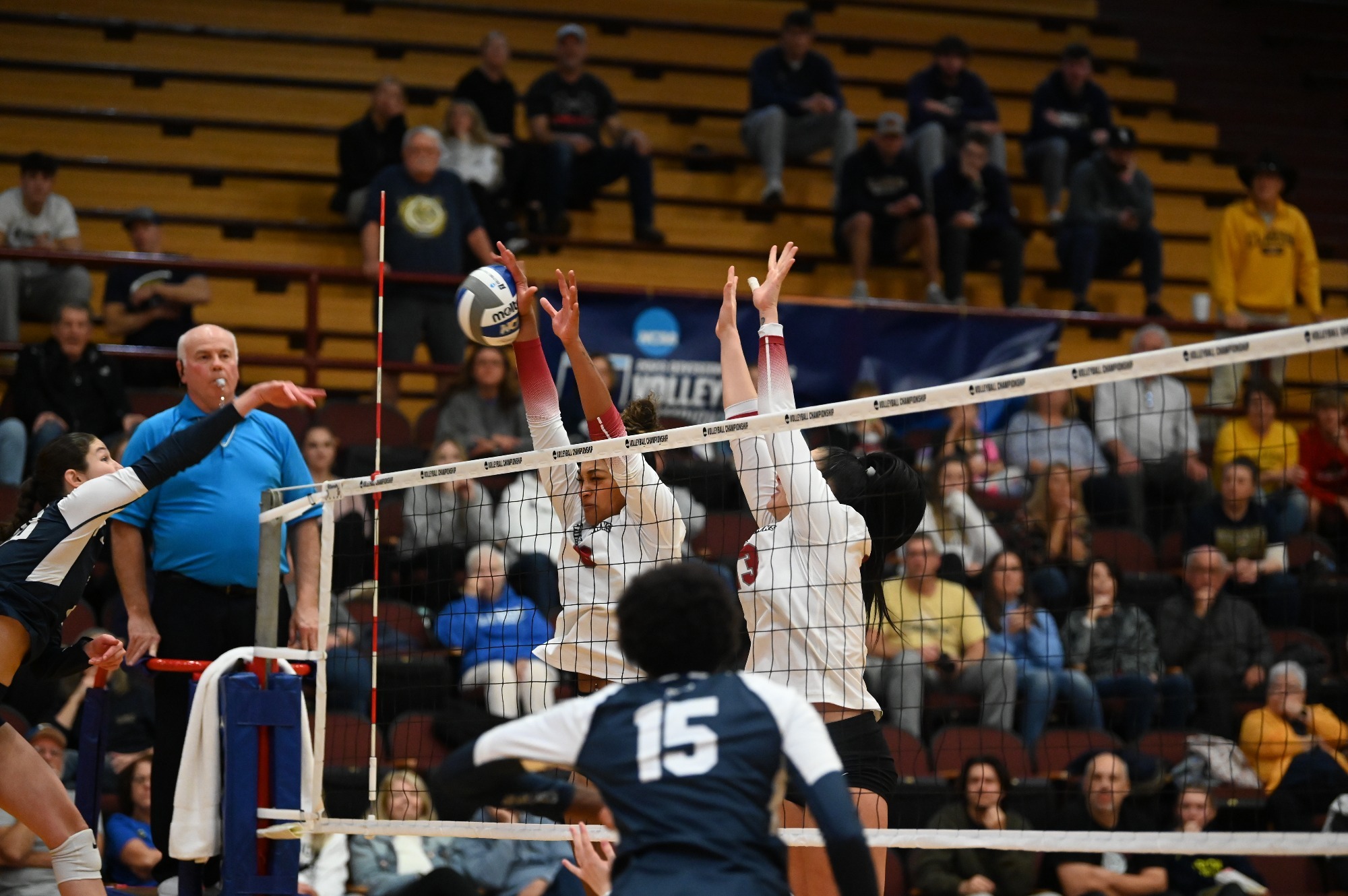 IUP women’s volleyball sees outstanding season conclude in Atlantic ...