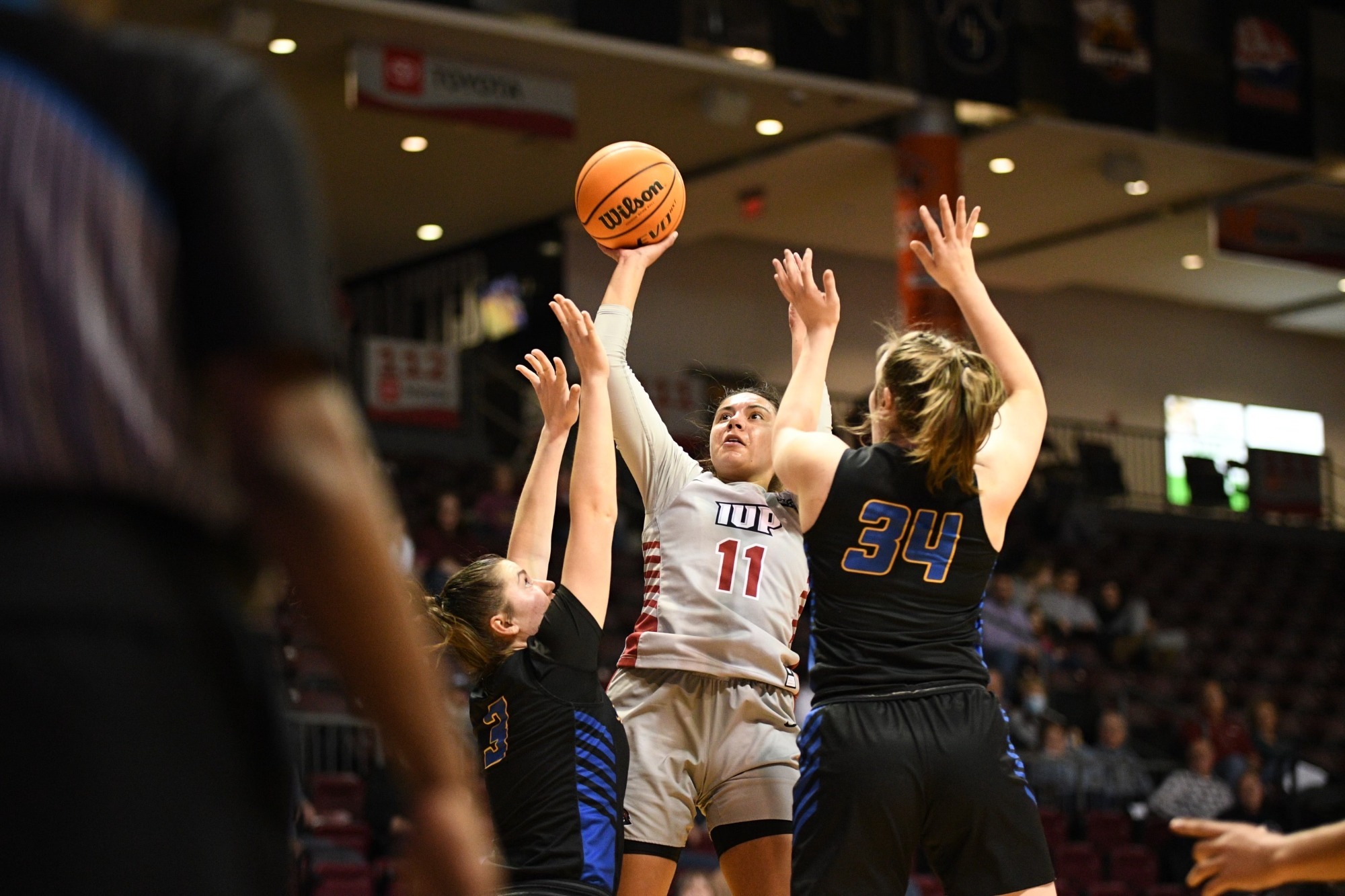 Alana Cardona - Women's Basketball - Indiana University of Pennsylvania ...